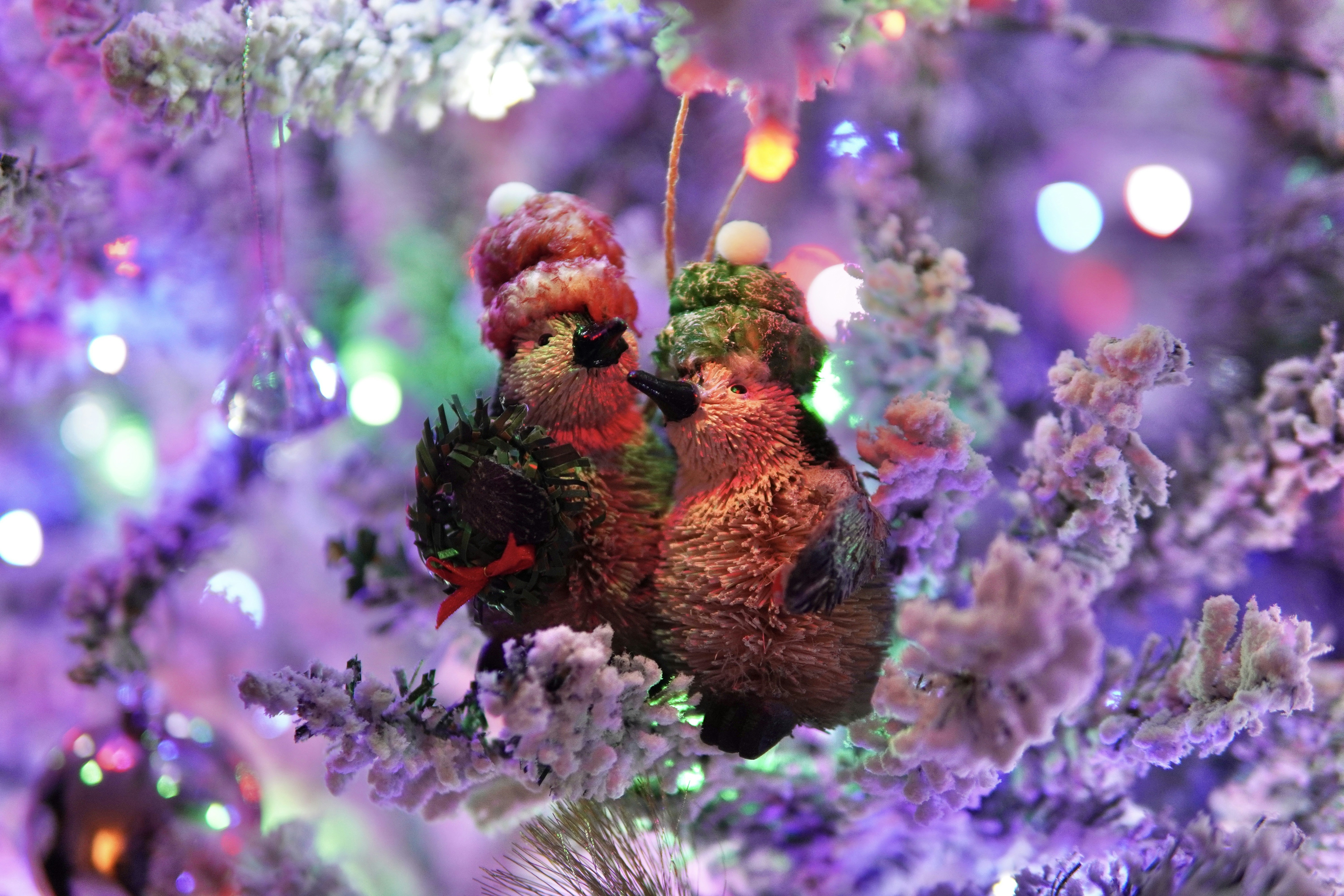 Whimsical Penguins in a Winter Wonderland