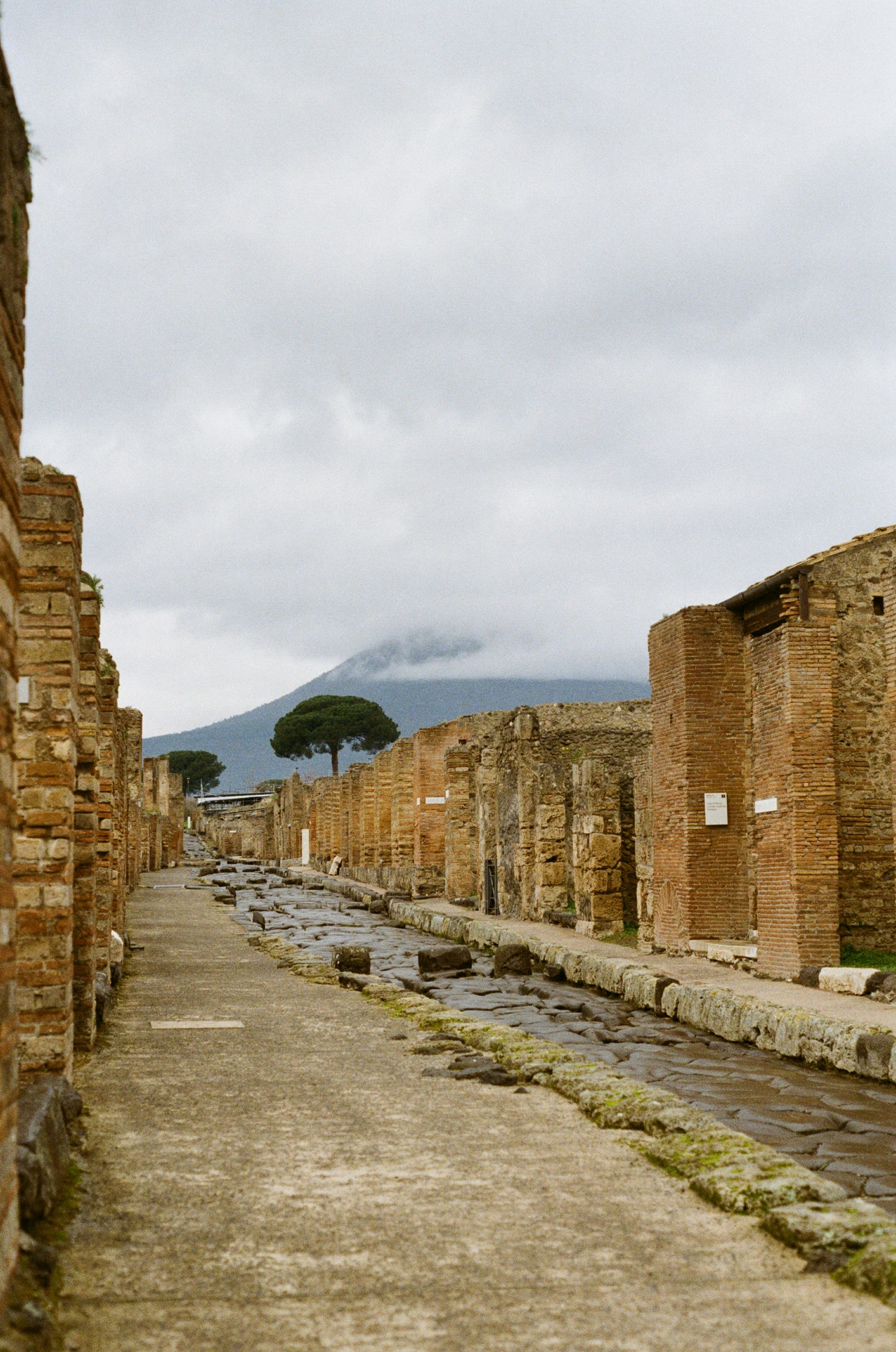 Ruined Street Through the Hearth of Time
