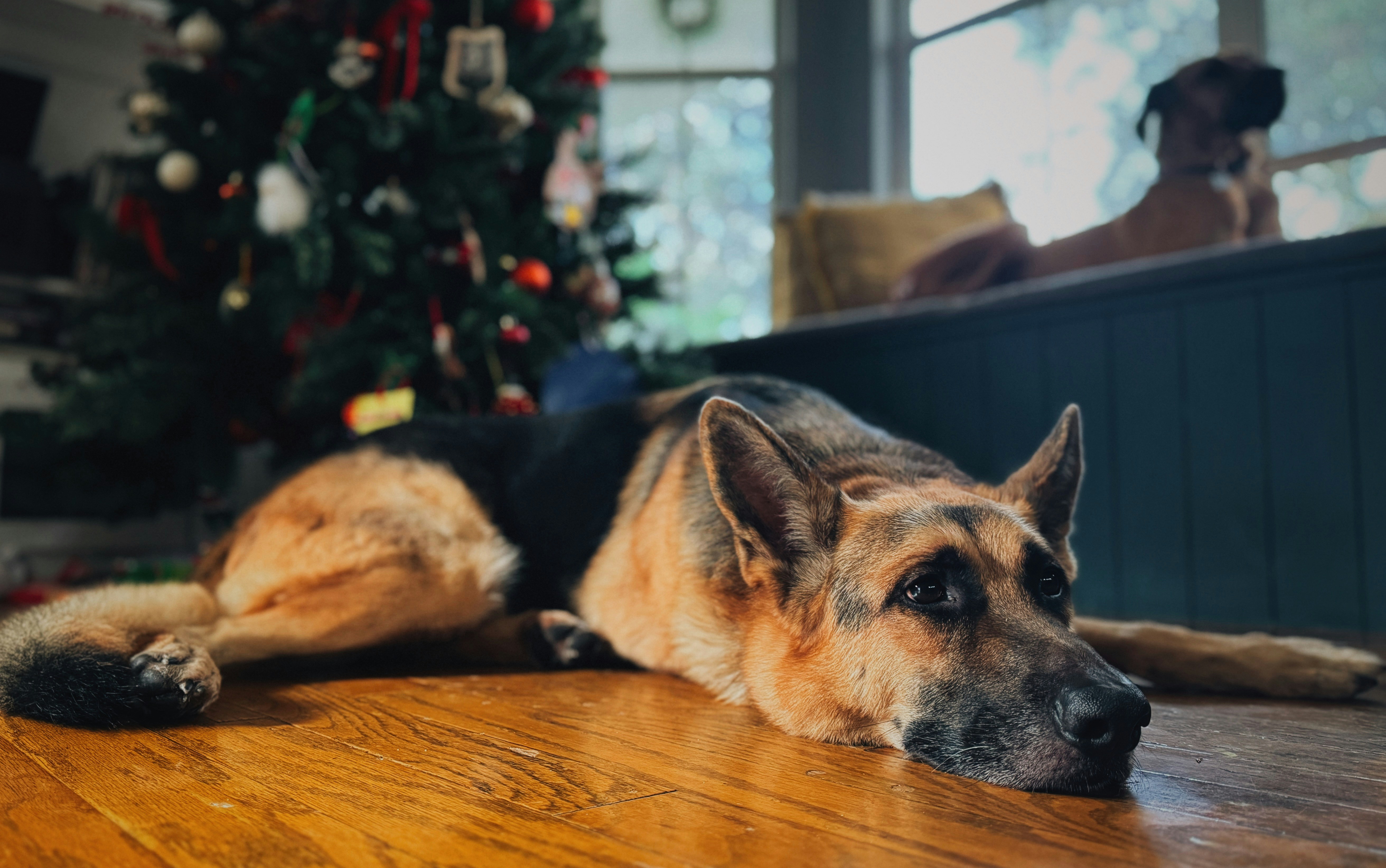 Sample photo from Apple iPhone 15 Pro