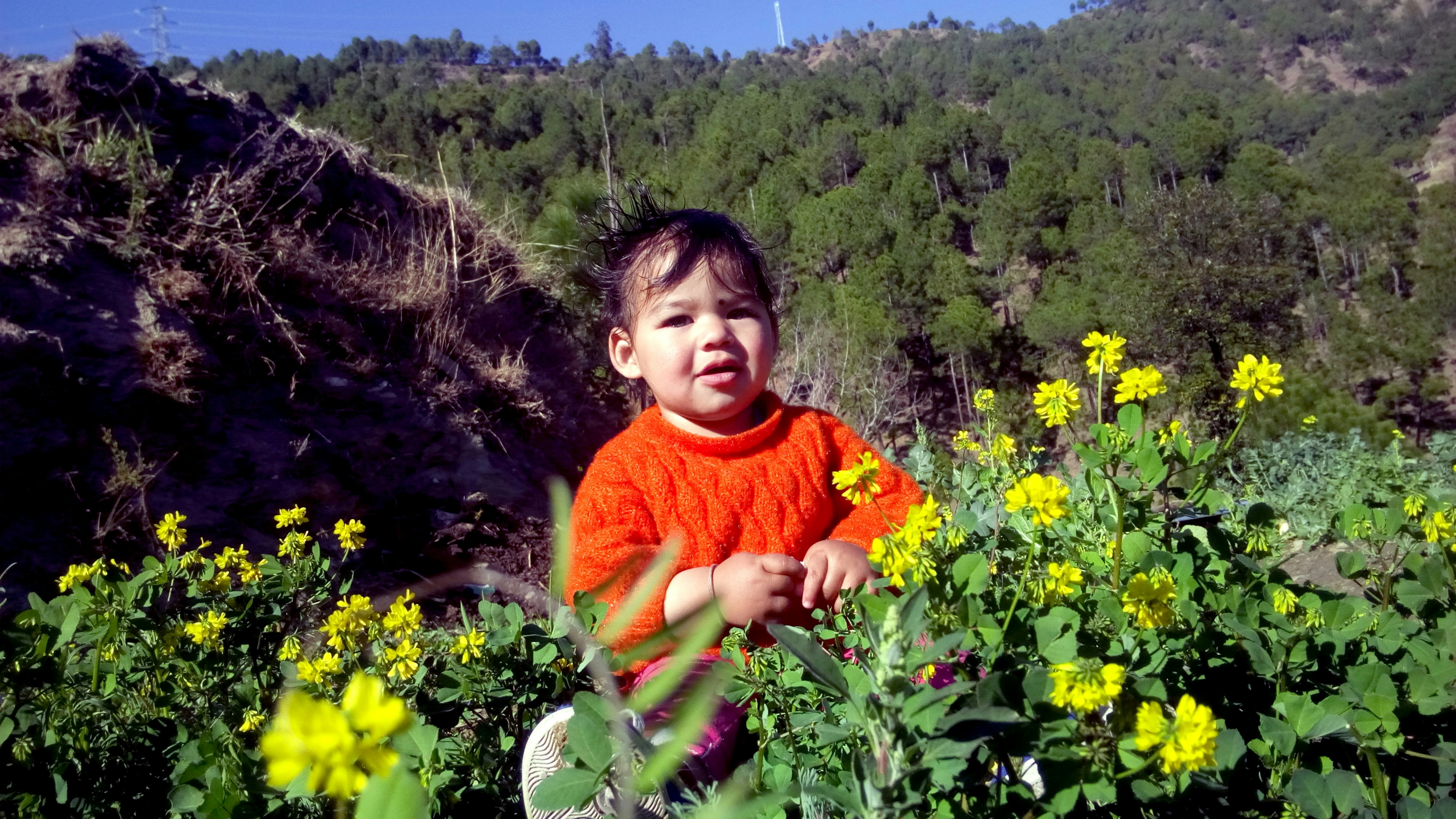 Child in an orange sweater smiles among vibrant yellow flowers with a lush green forest backdrop.