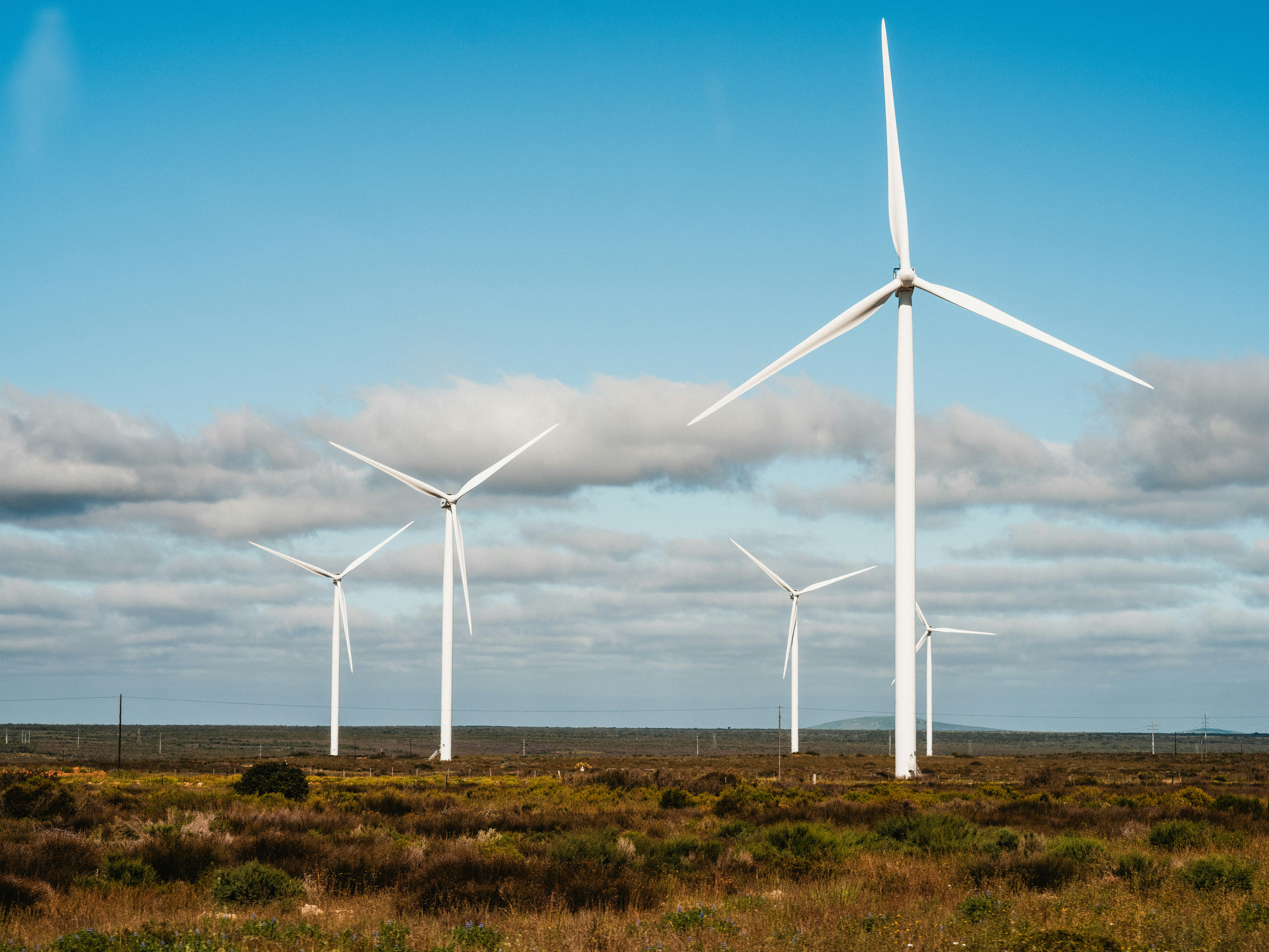 A group of wind turbines in a field photo – Free Background Image on ...