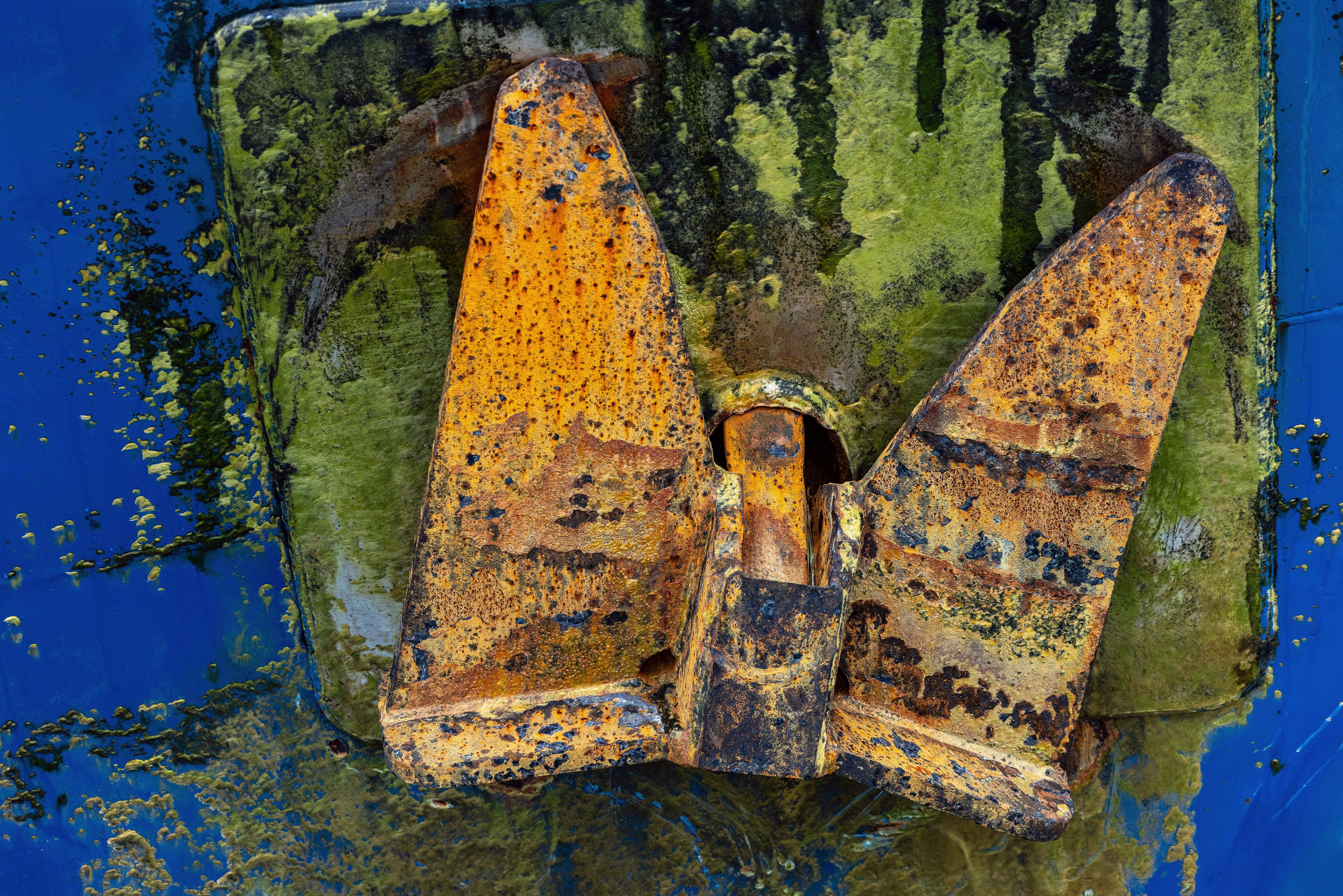 Rusted anchor blade on a mossy hull