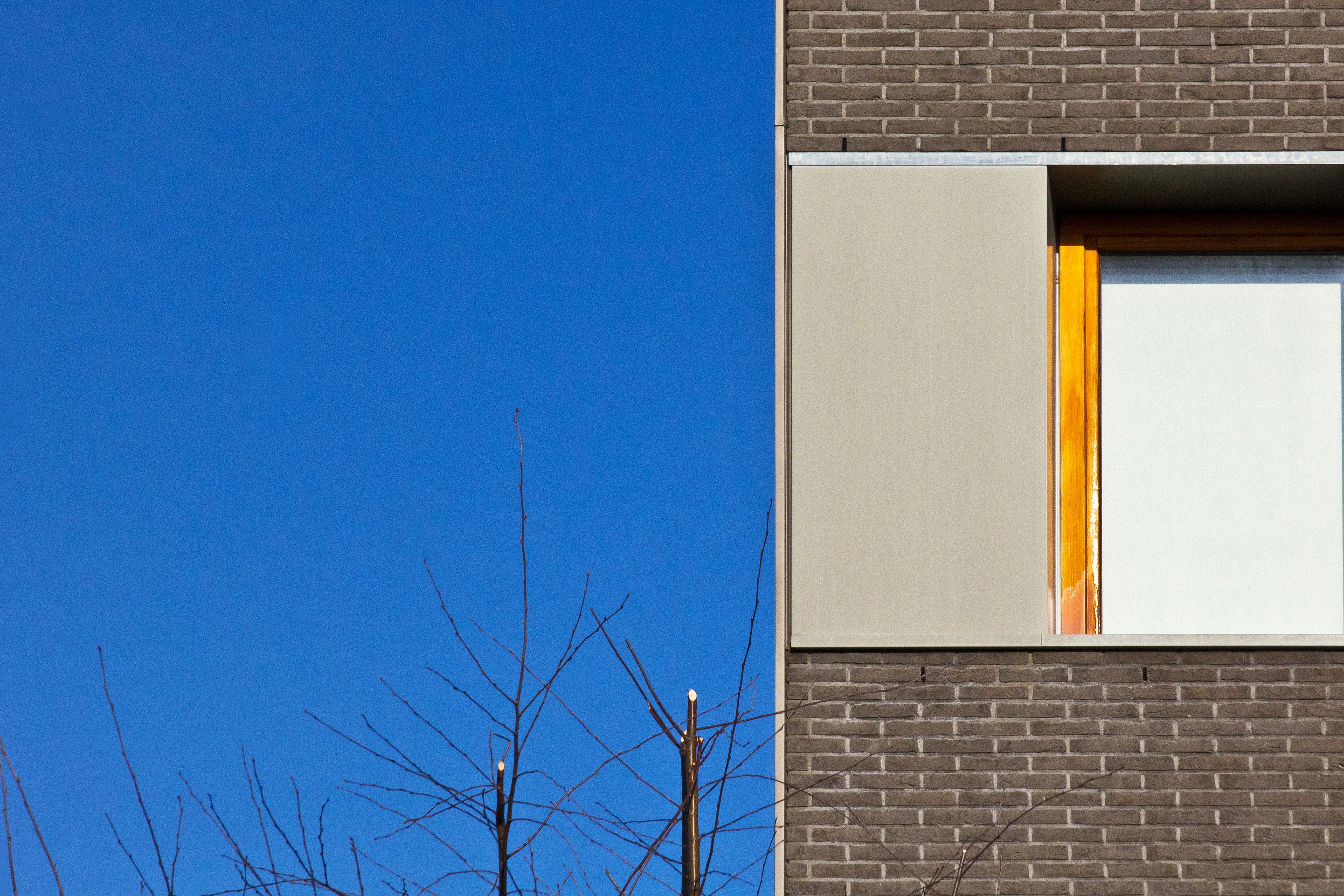 Modern building facade with a single window framed by vibrant orange, set against a clear blue sky and bare tree branches.