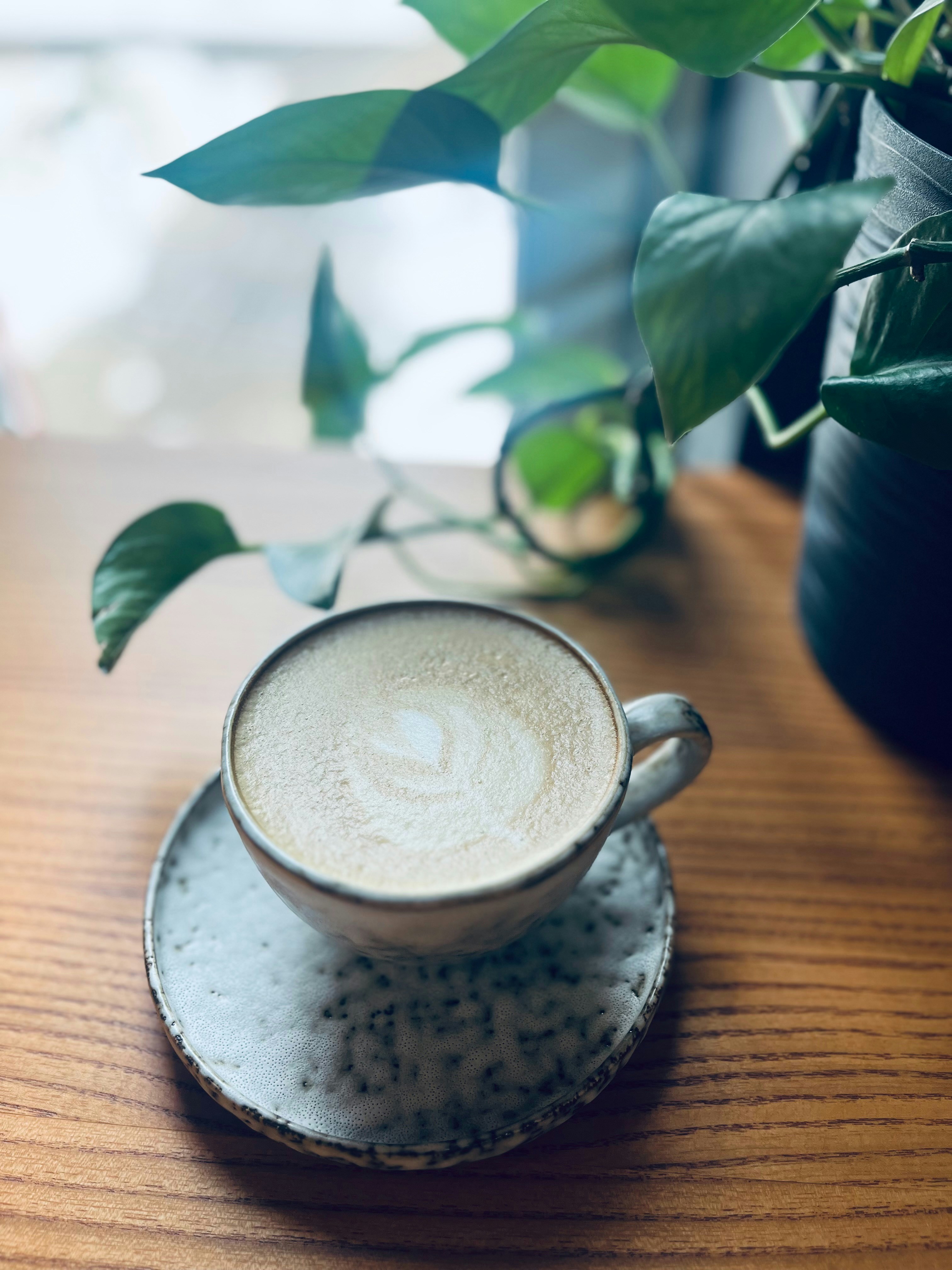 A cup of coffee on a saucer next to a potted plant