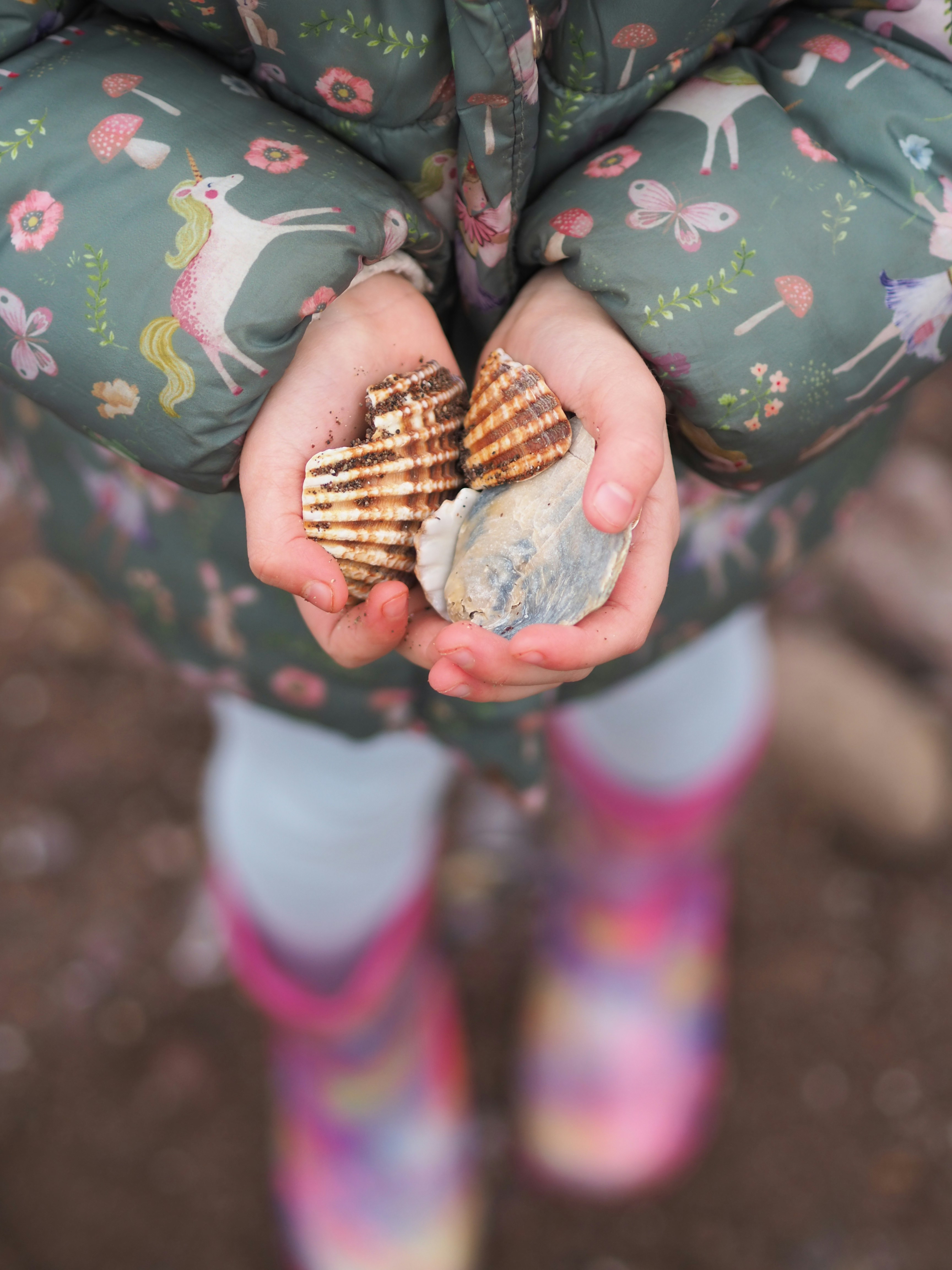 A child's hands cup several seashells, with a unicorn-pattern coat and pink boots in the softly blurred background.