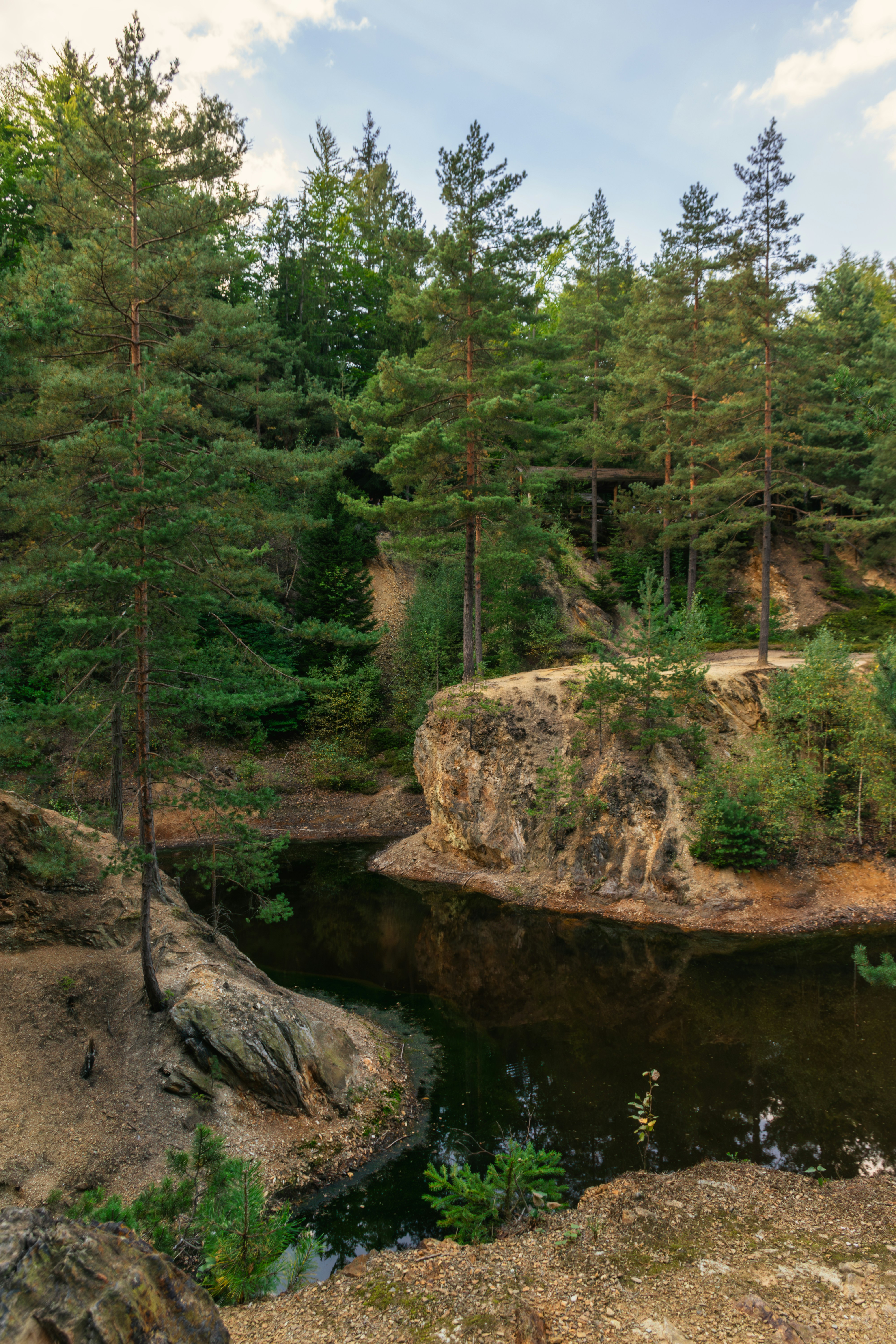 Photo by Inna Nasonova with Nikon D5300