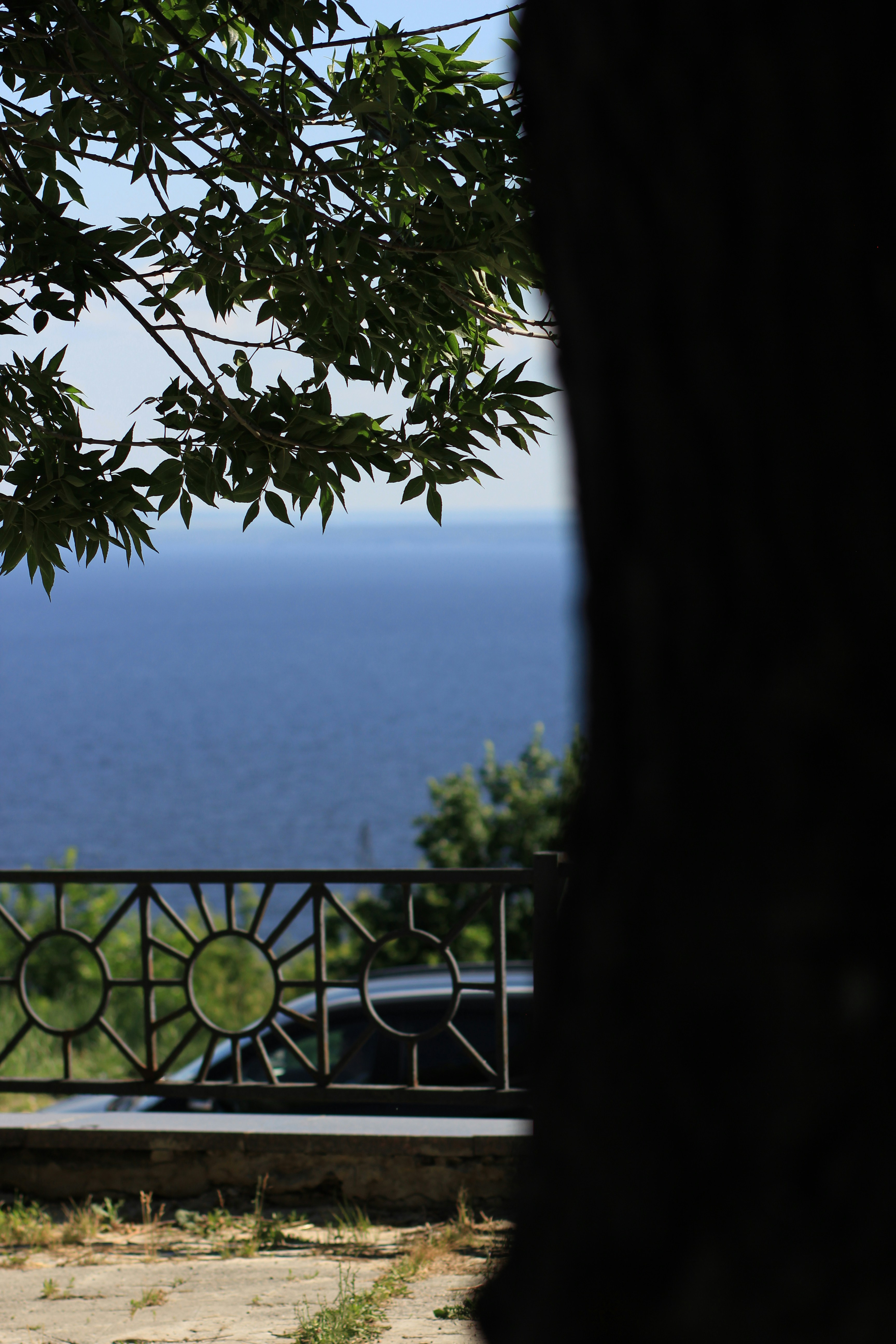 Azure Horizon Framed by Leaves and a Latticed Balcony Rail