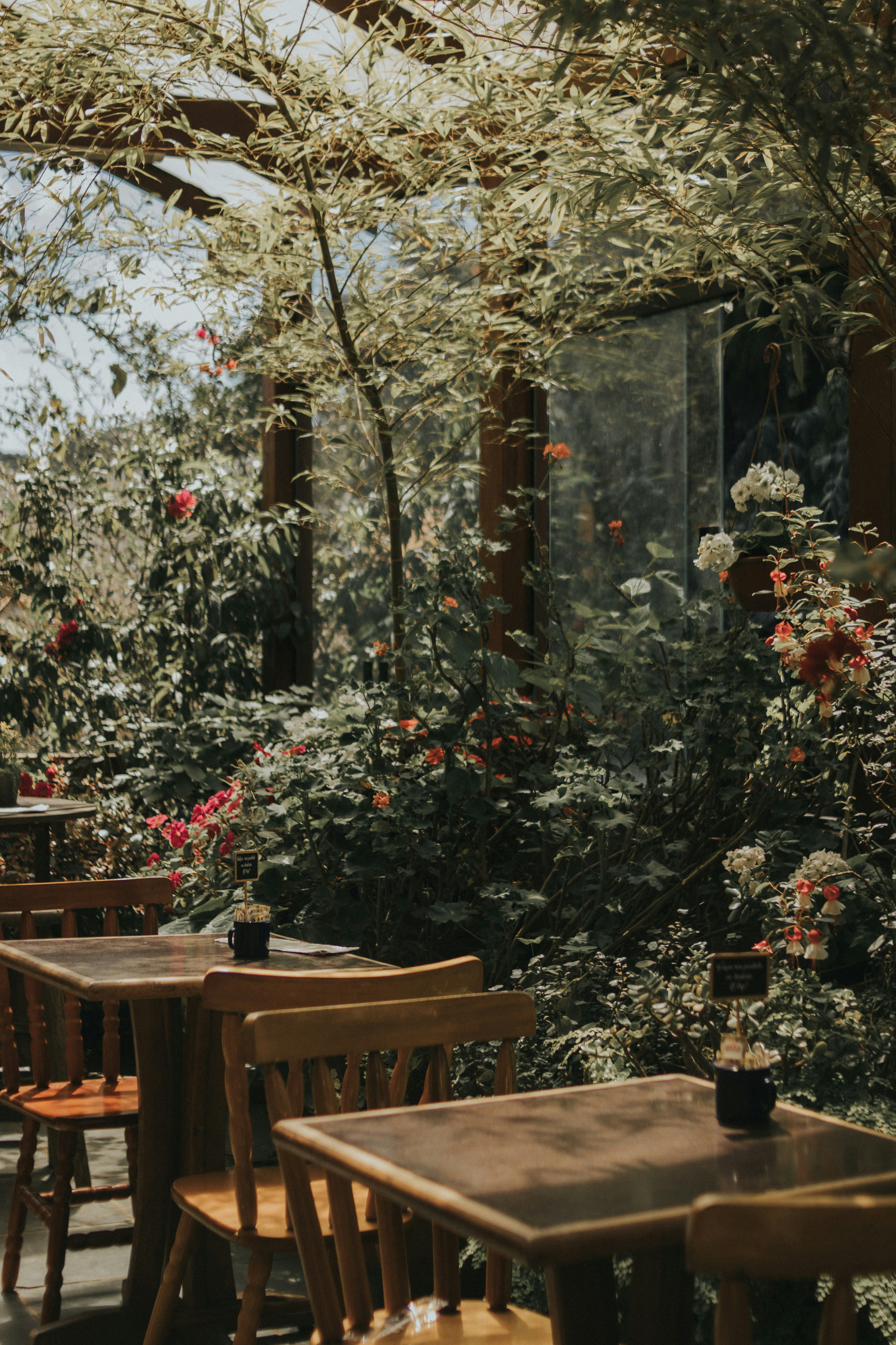 Tables and chairs in a garden with flowers photo – Free Dining table ...