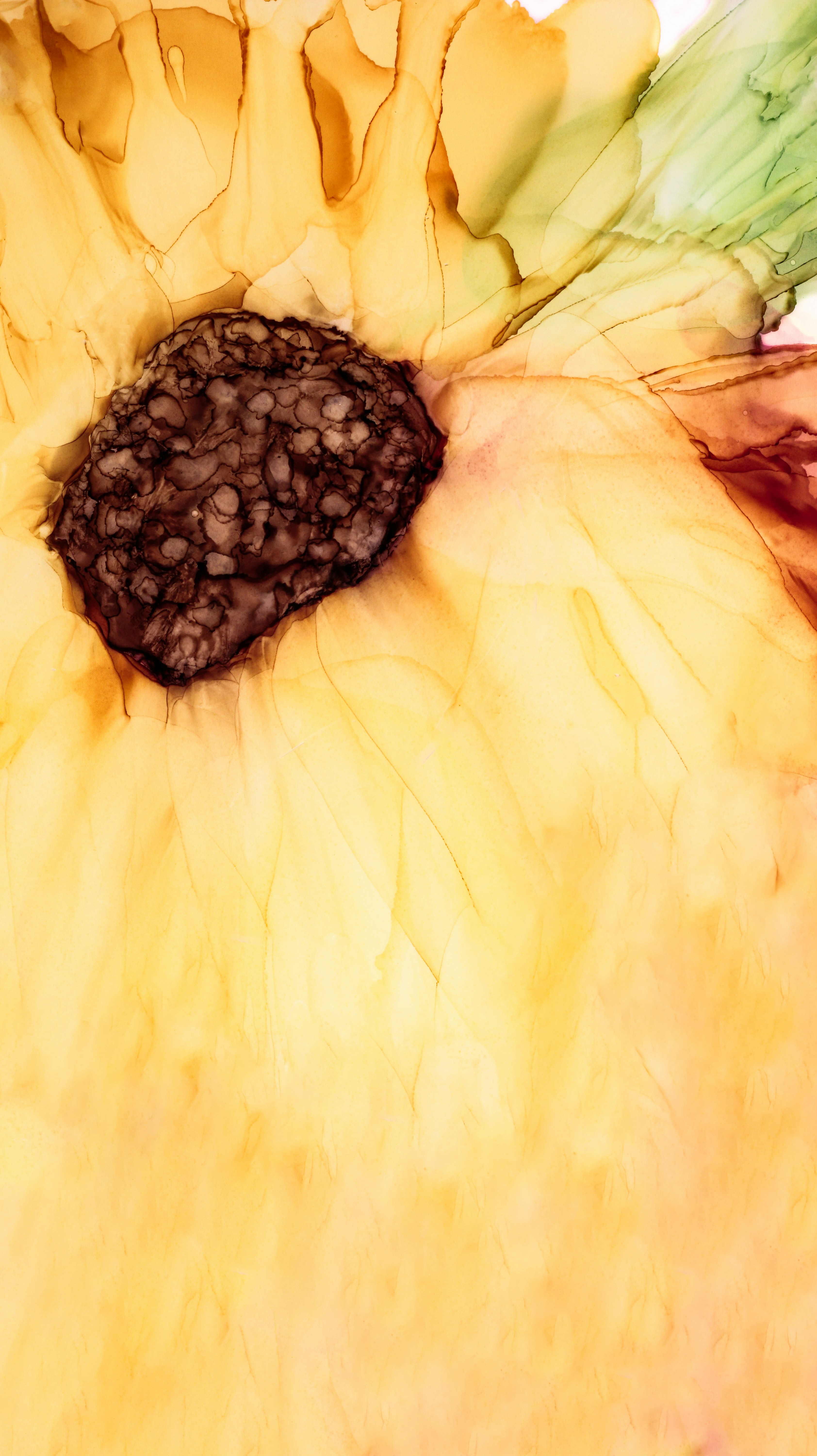 Photo by Susan Wilkinson with Canon EOS 2000D