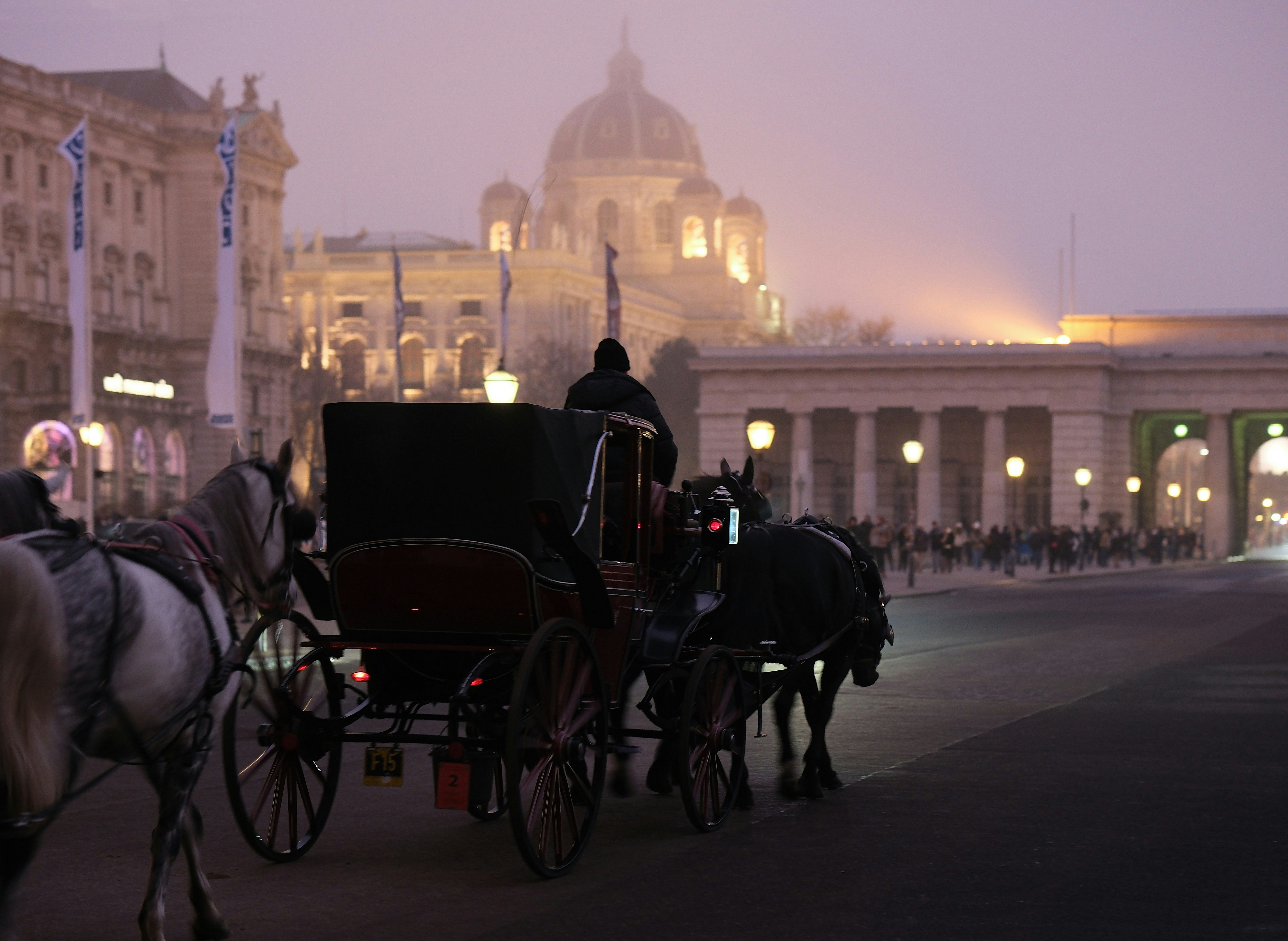 Horse-drawn carriage passing under glowing streetlights near a grand building in foggy evening light.