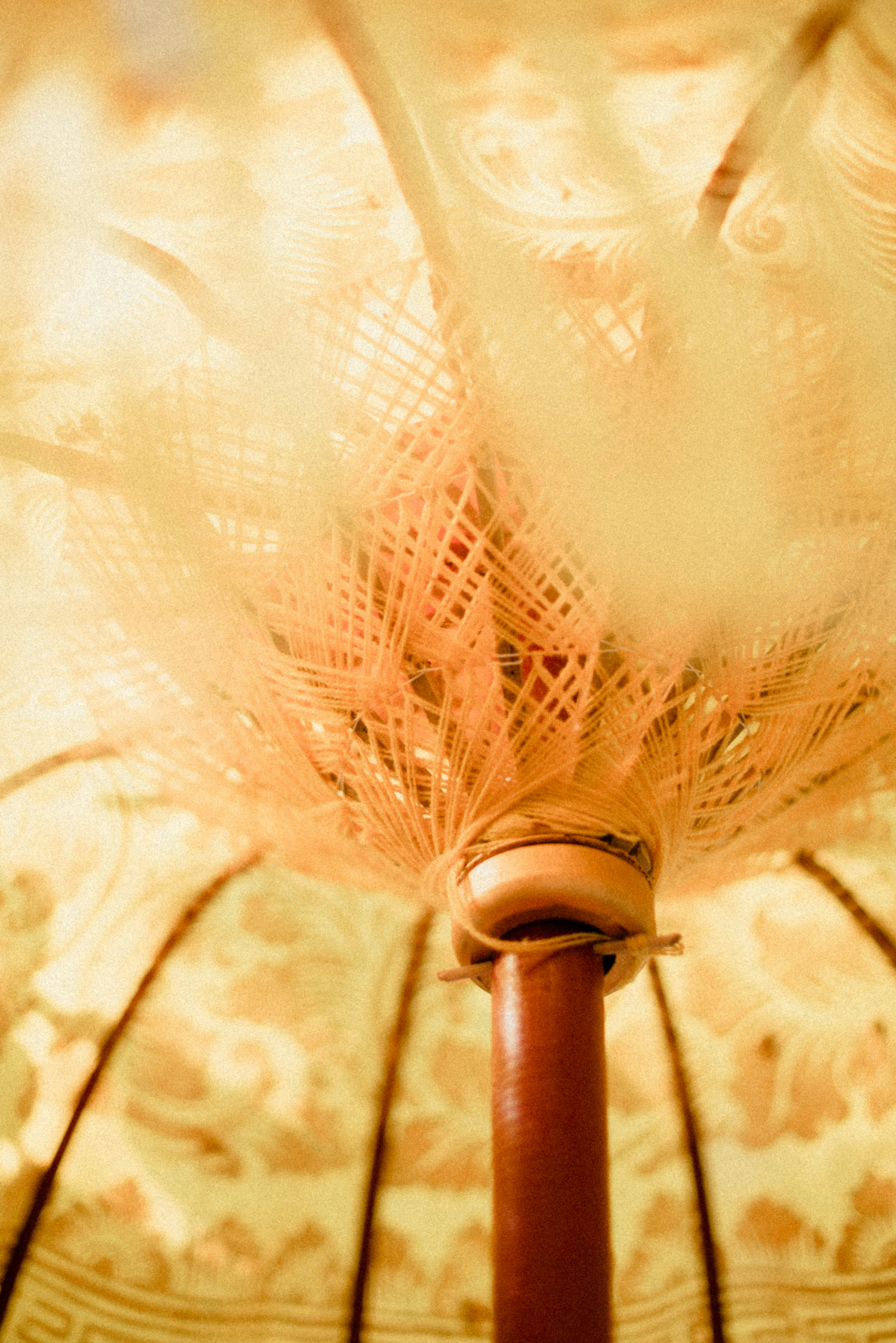 Amber Feathers on a Wooden Handle: A Close-Up of a Hand Fan