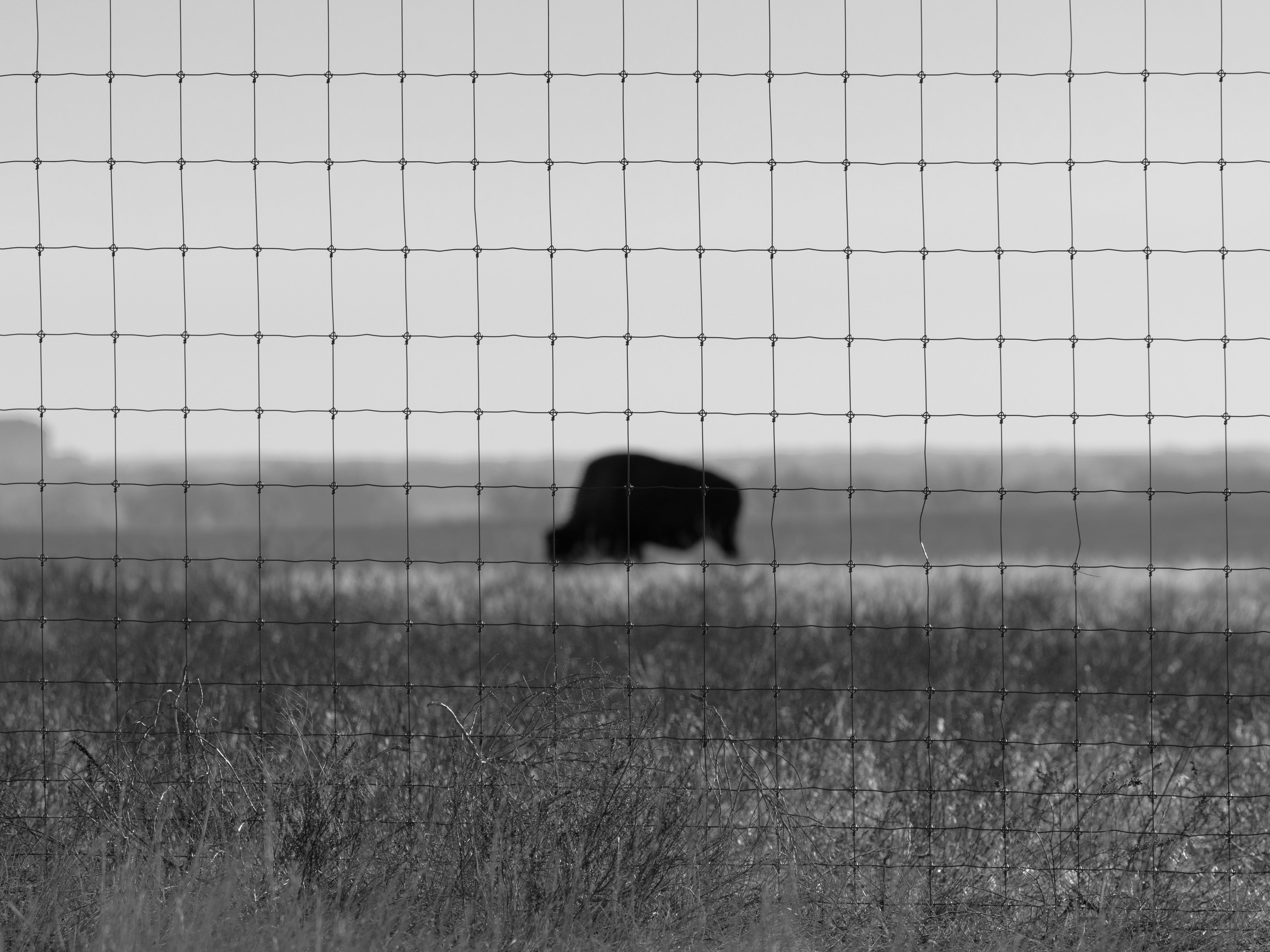 Photo by Brandon Stoll with Canon EOS R7