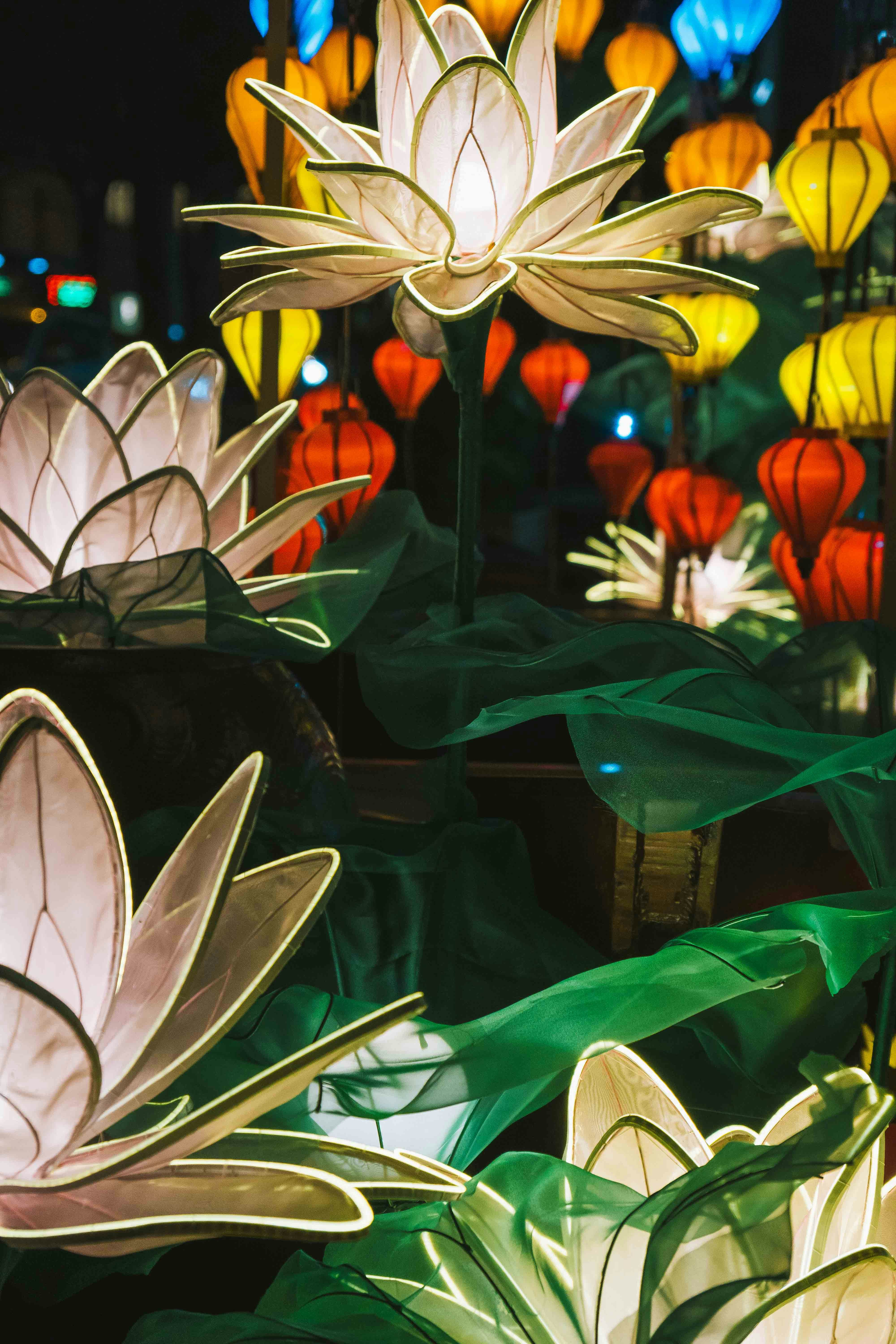 Photo by Khanh Nguyen with Sony Alpha 6400