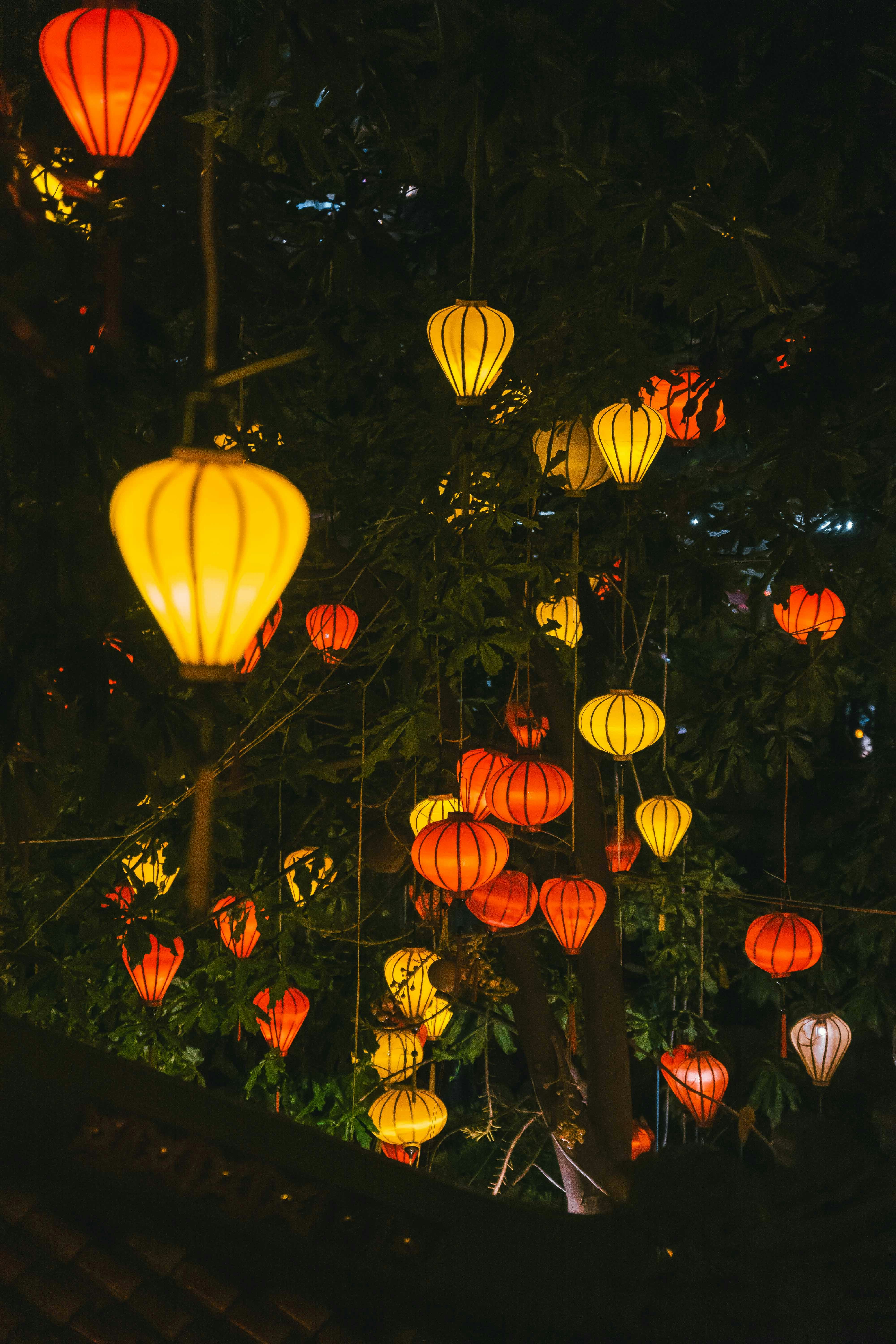 Photo by Khanh Nguyen with Sony Alpha 6400