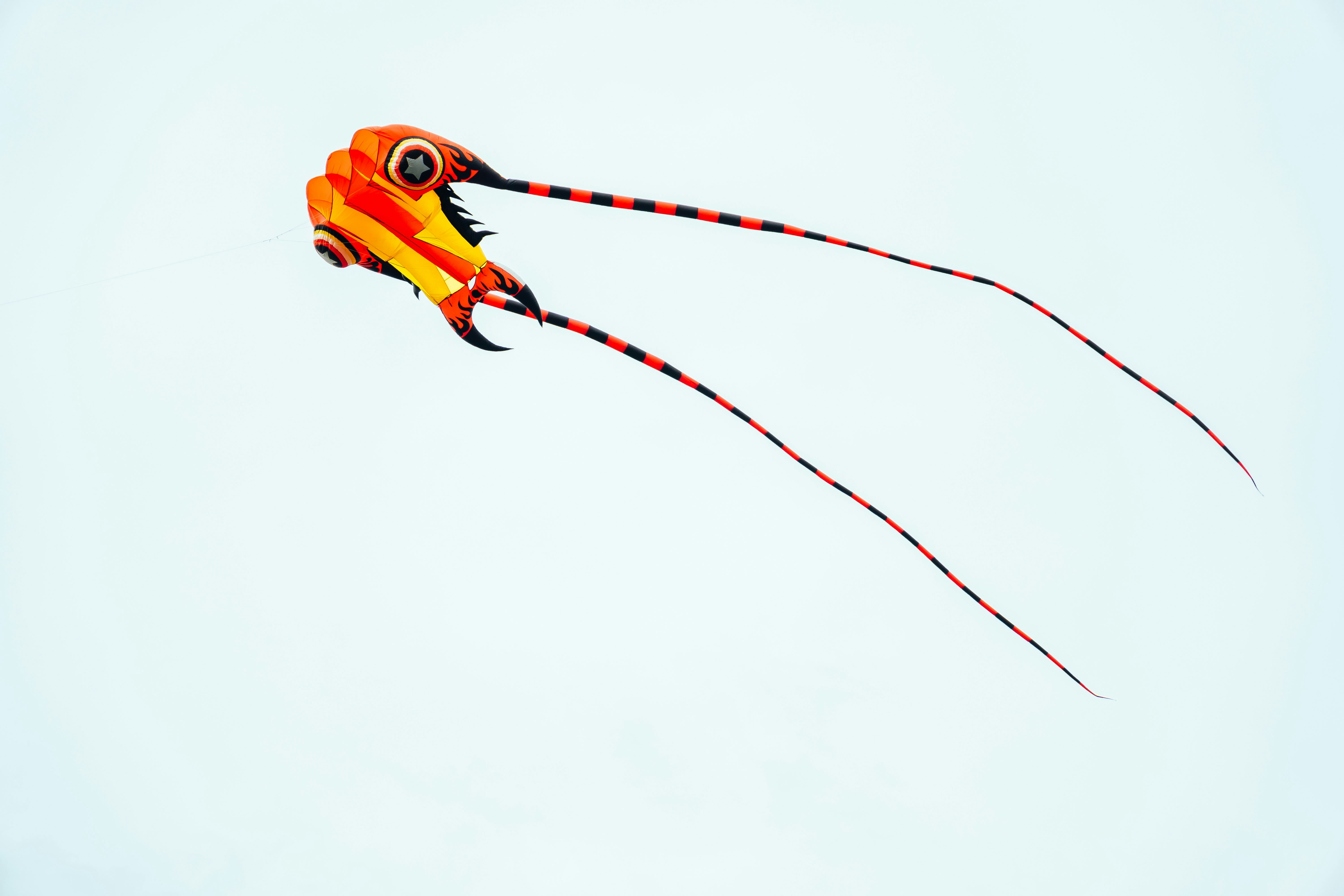 Long-Tailed Dragon Kite Soars Across a Pale Sky