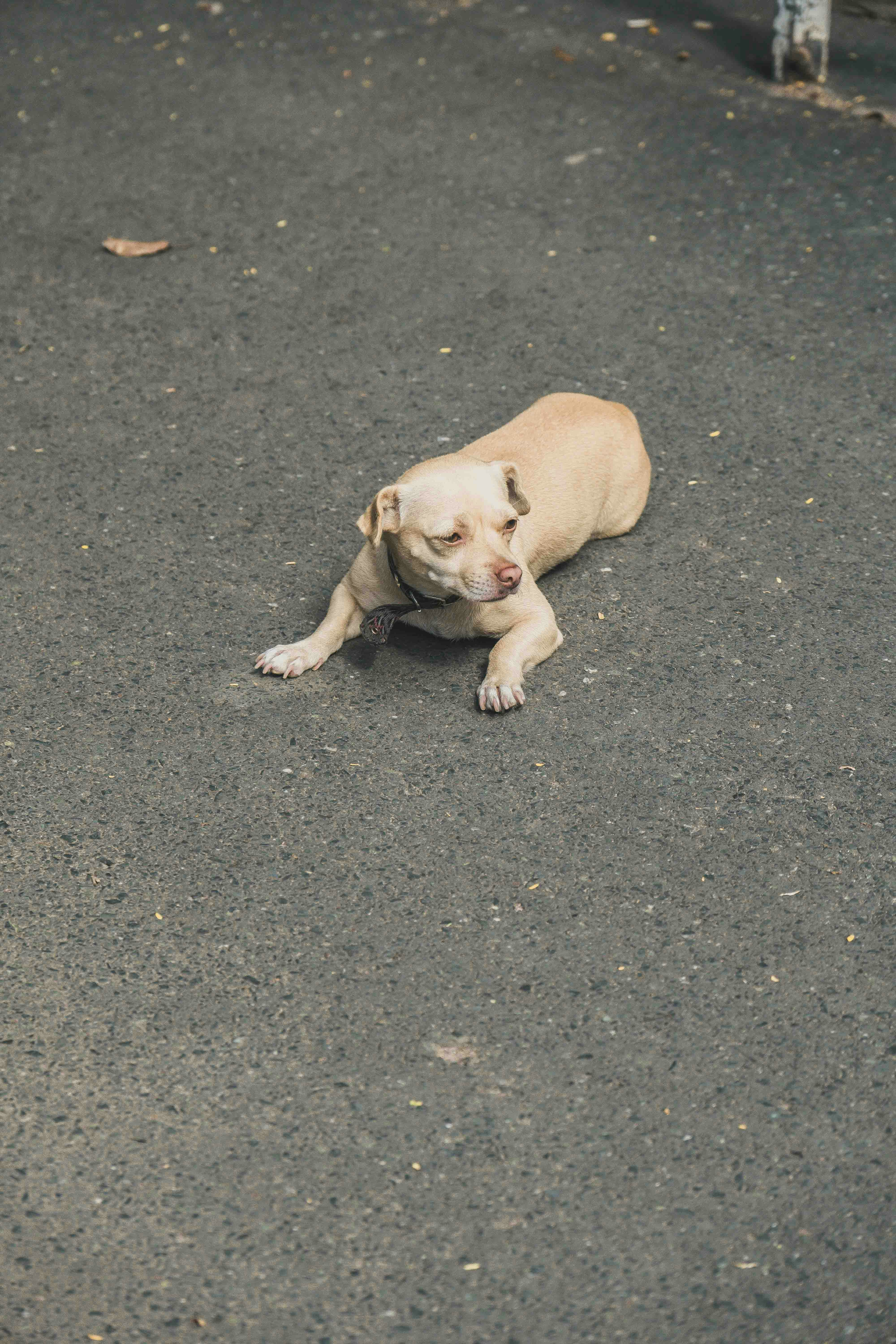 Photo by Khanh Nguyen with Sony Alpha 6400