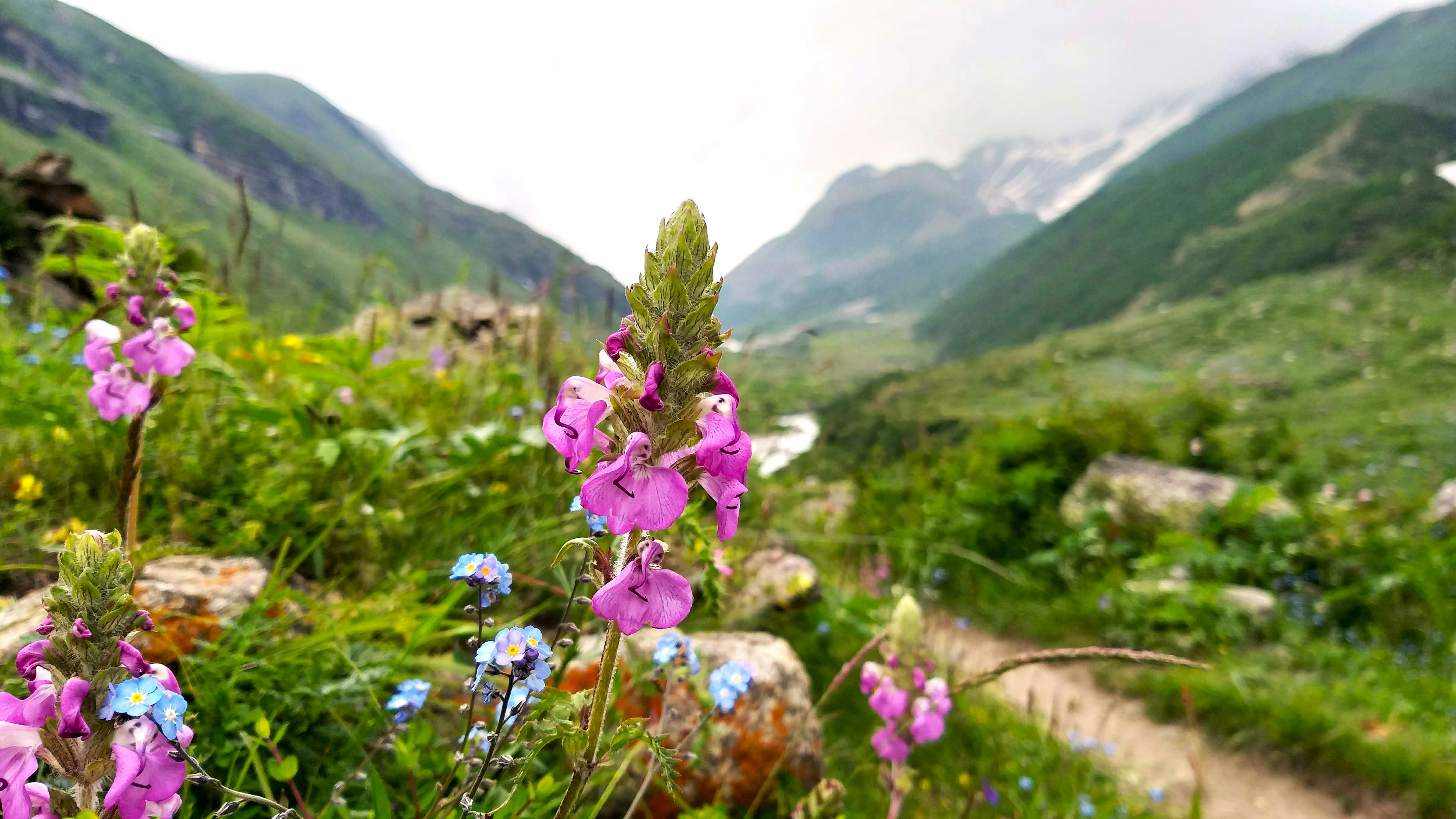 Photo by Aditi Panatu with Samsung Galaxy J8