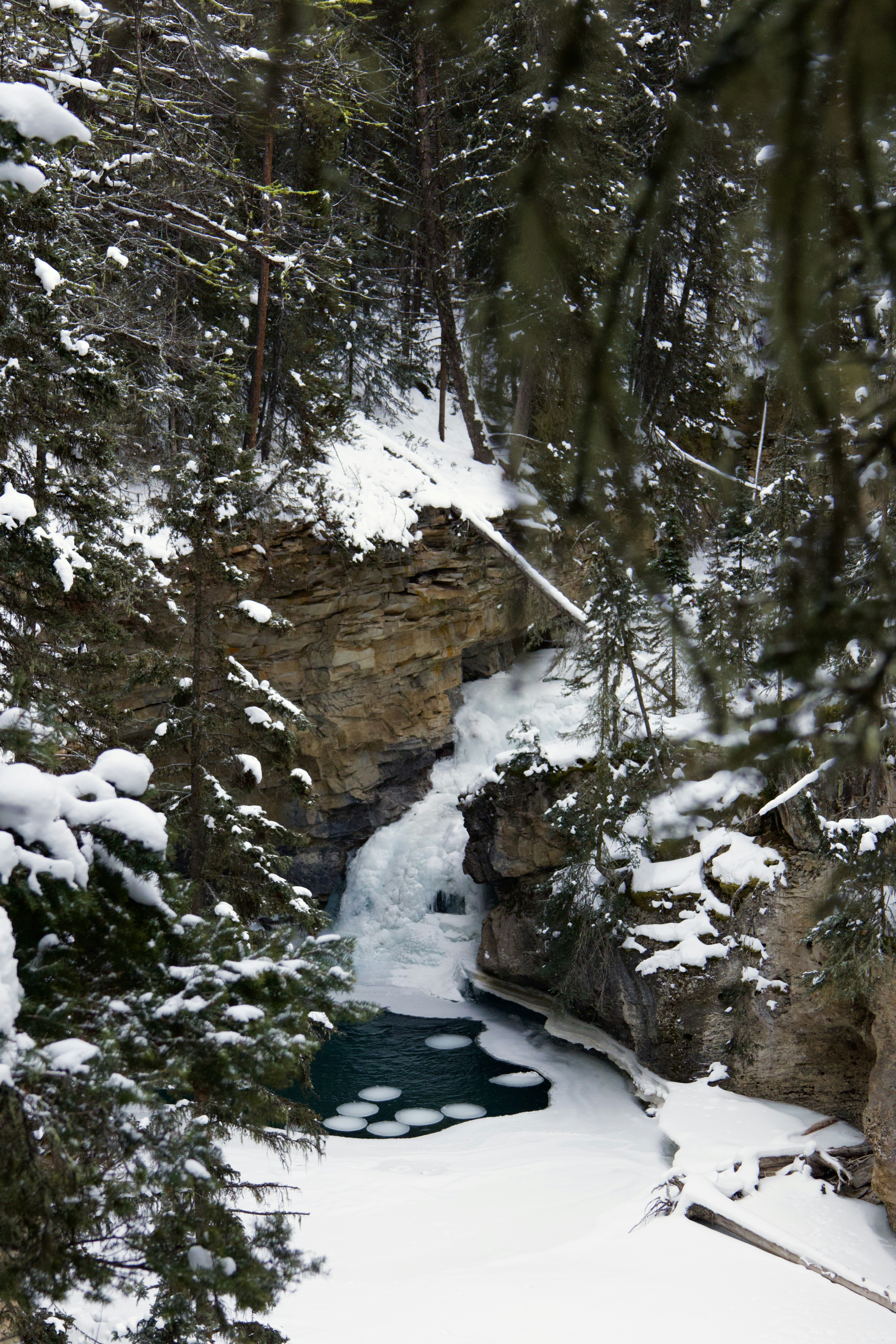 Frozen waterfall cascading into a serene pool surrounded by snow-covered rocks and evergreen trees.