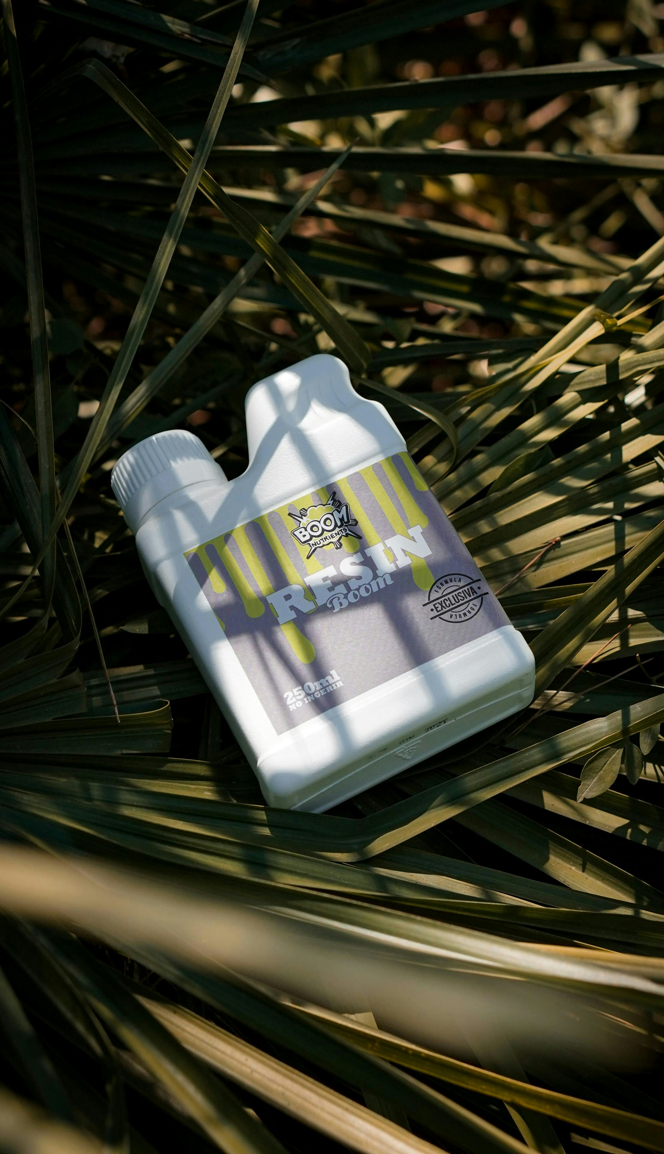 A bottle of lotion sitting on top of a palm tree photo – Free Bottle ...
