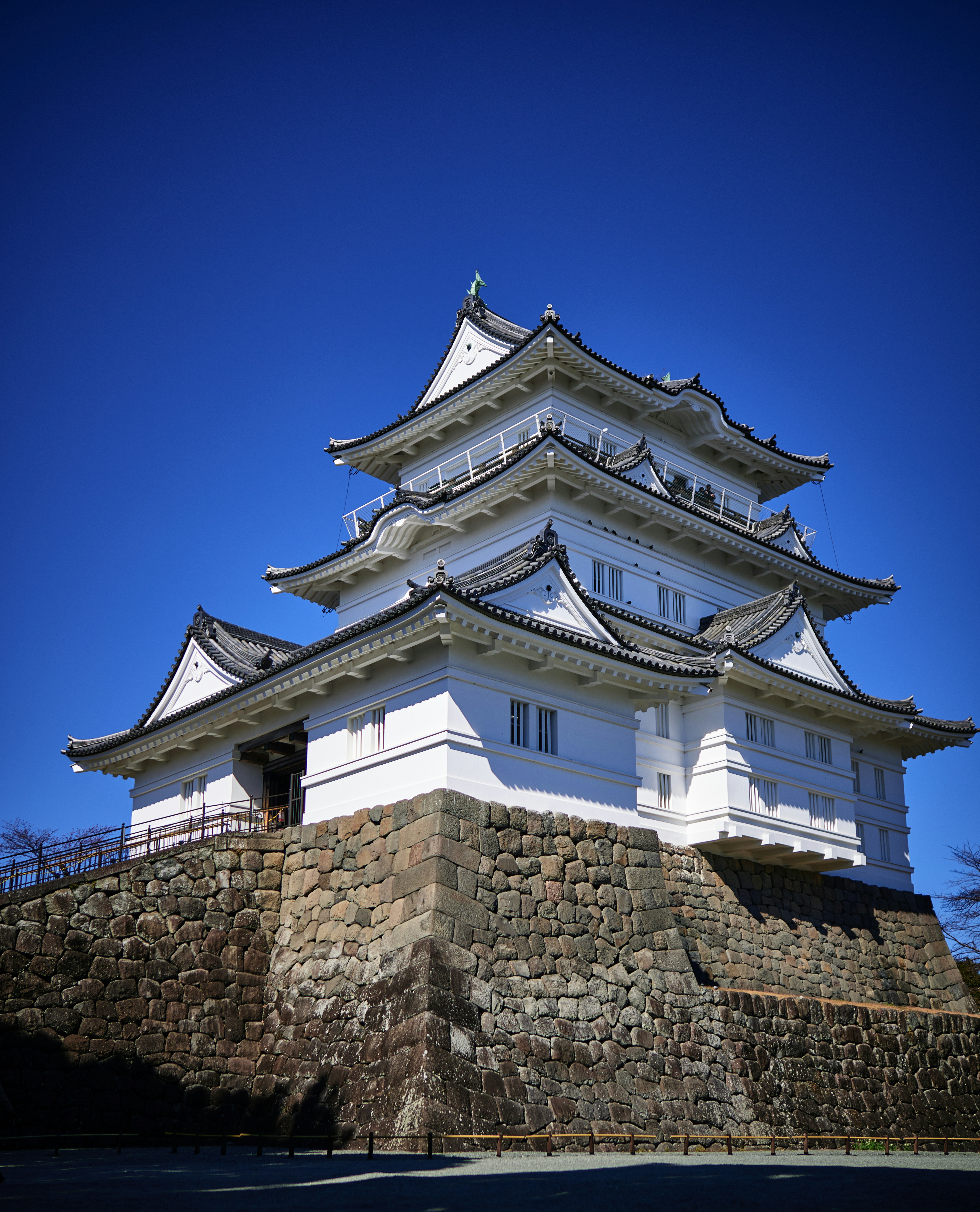 Photo by Stefan Schwinghammer with Nikon Z8