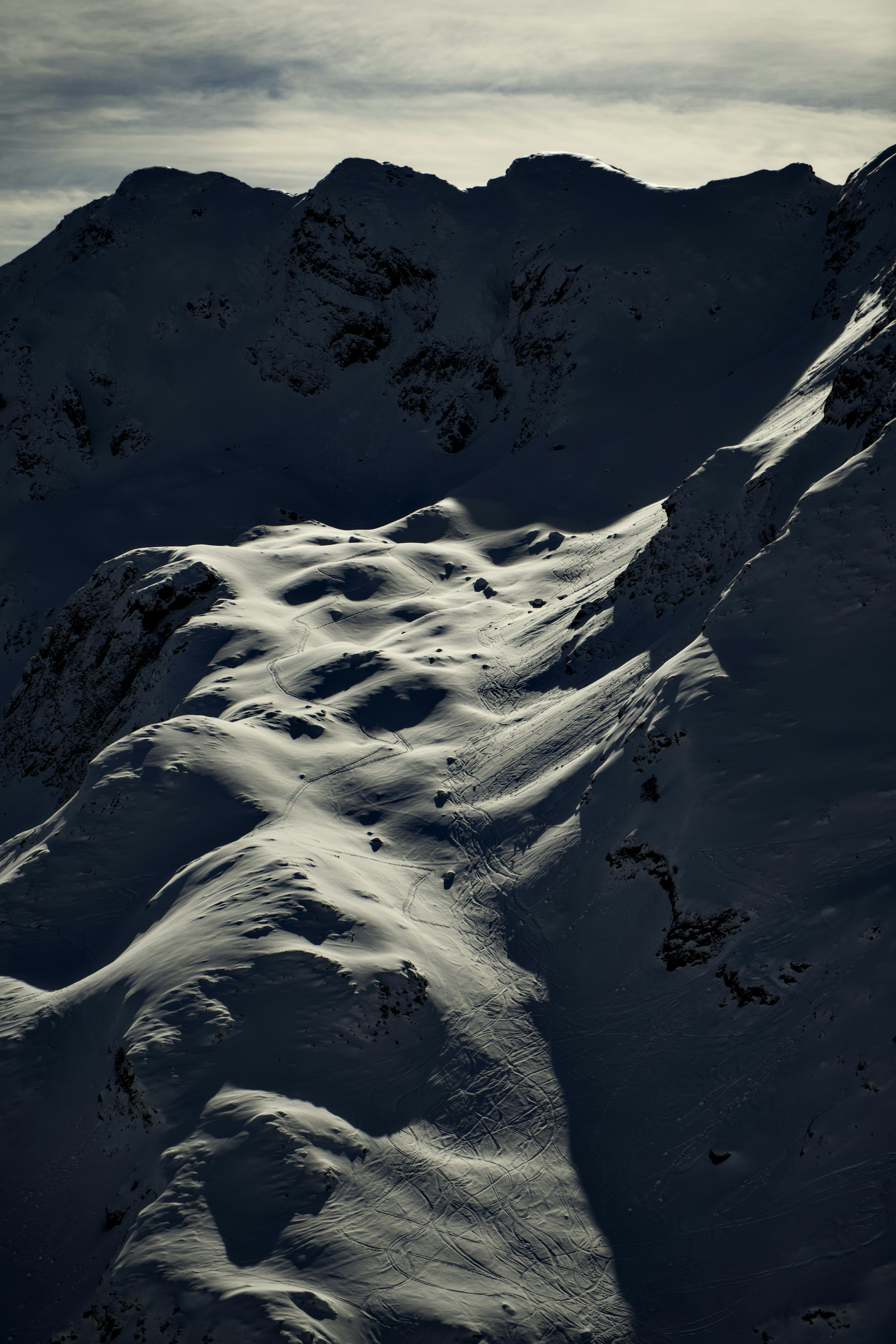 Sunlit Whorls on a Shadowed Alpine Ridge