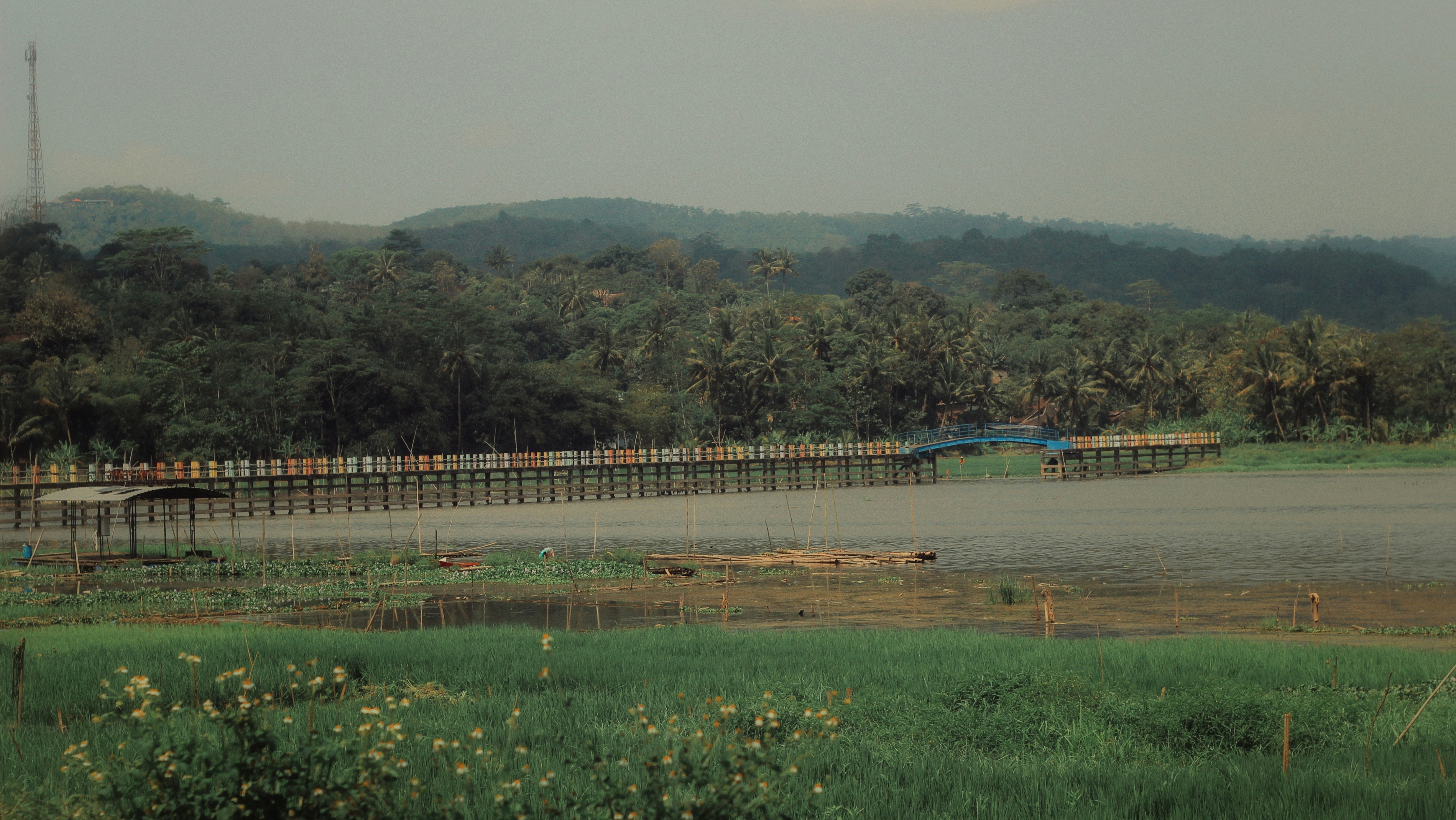 Jembatan dan Pemandangan Hijau