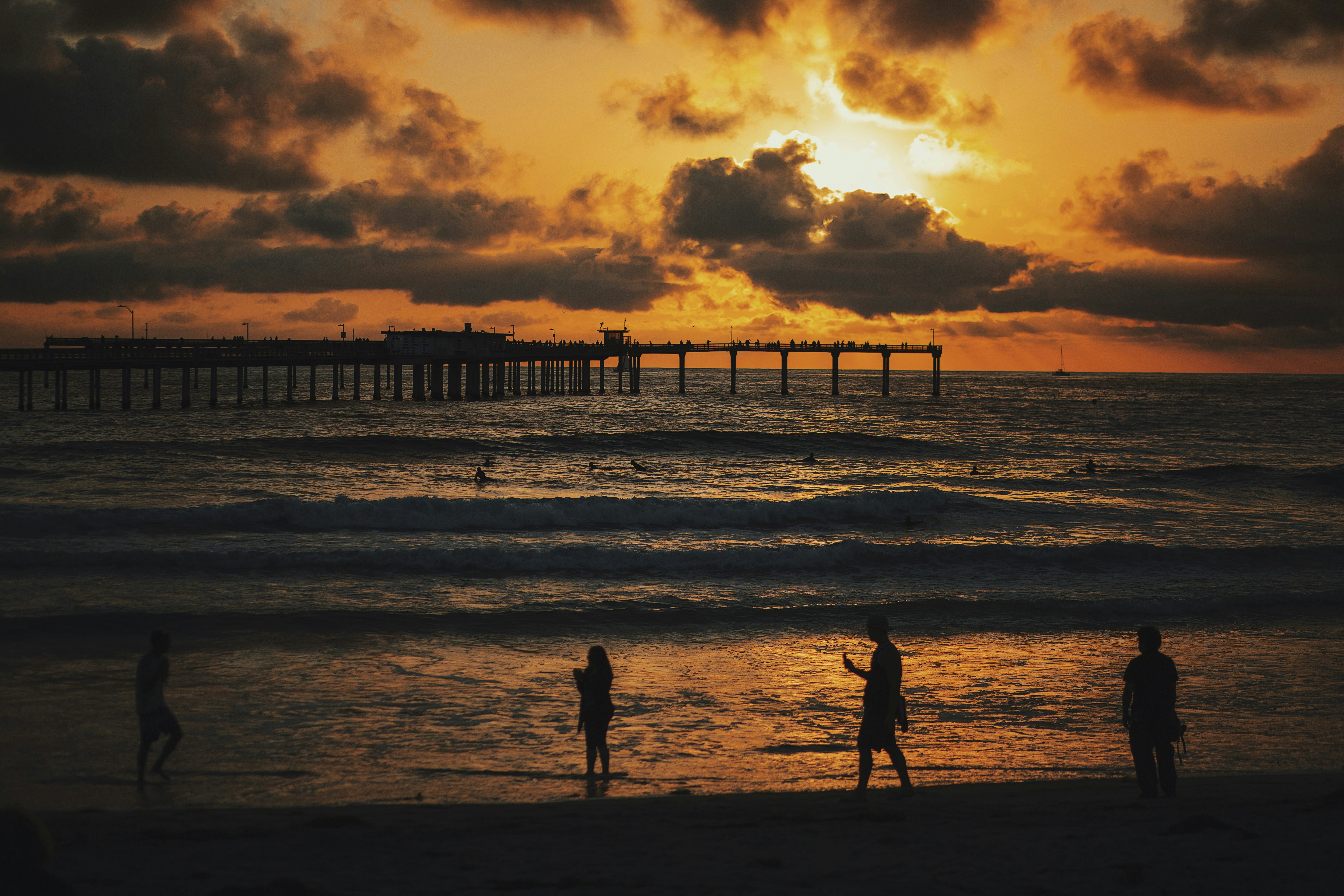 Golden Silhouettes at Dusk