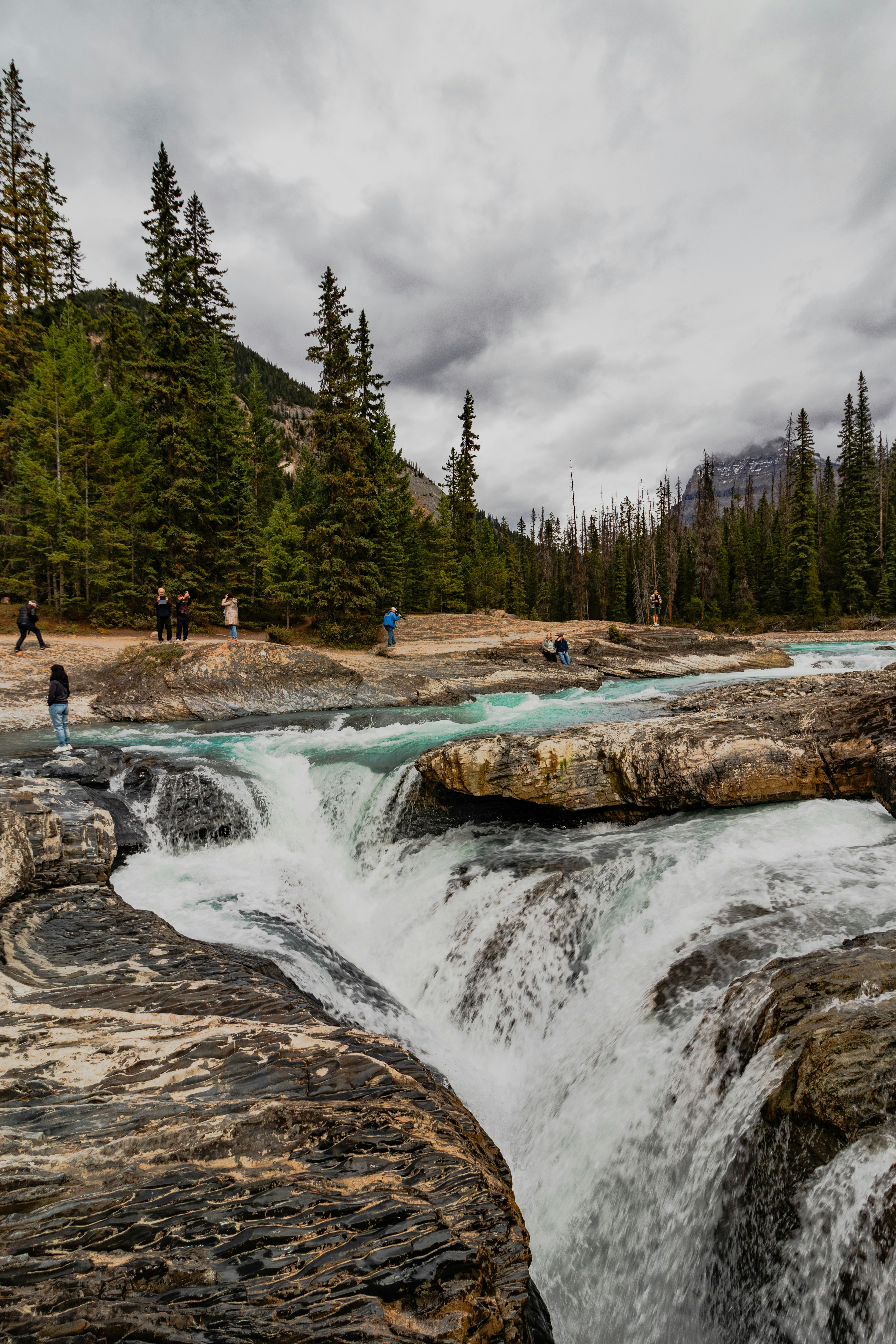 A group of people standing on top of a waterfall photo – Free Yoho ...