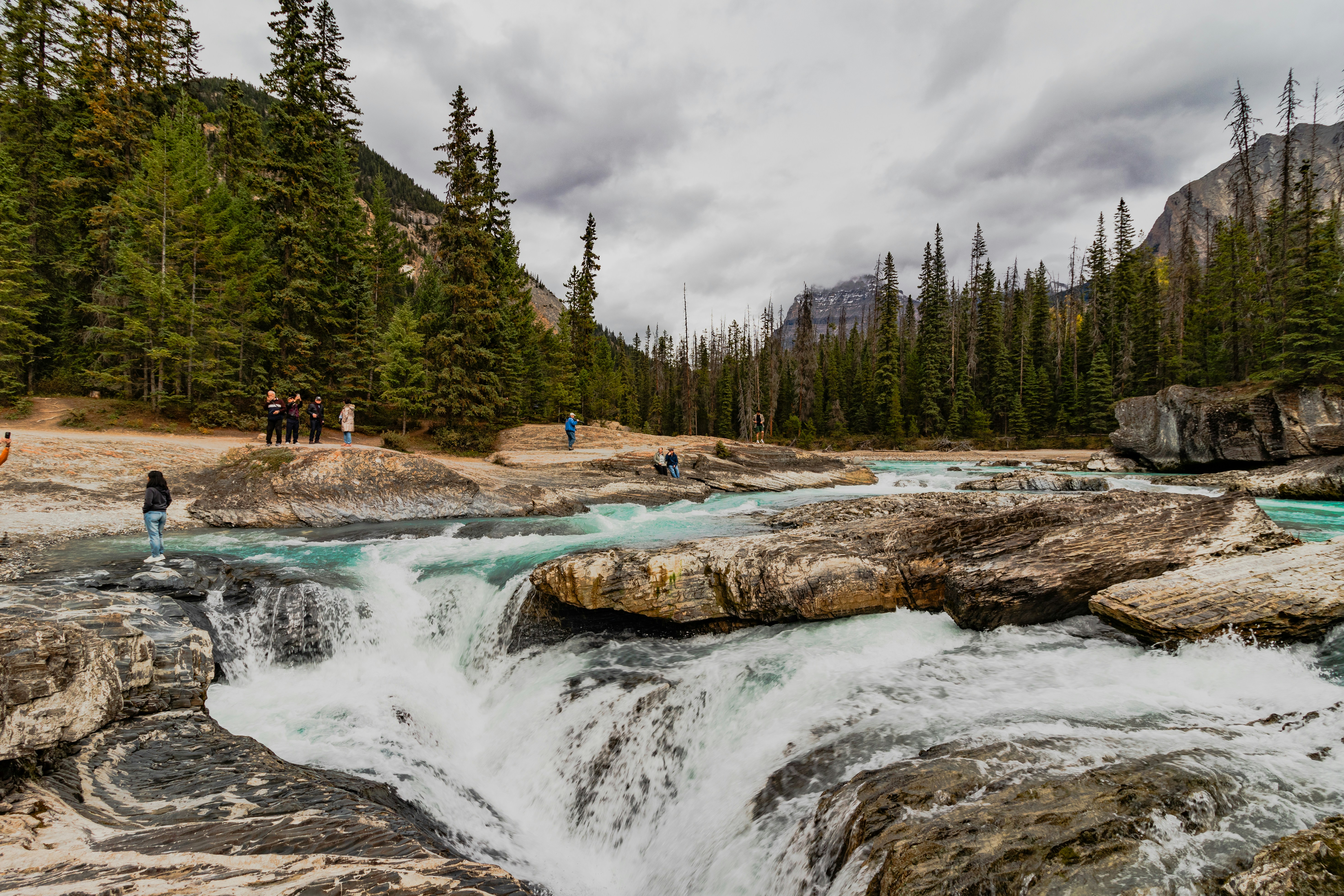 Rocky river with cascading waterfalls surrounded by evergreen trees and distant mountains under a cloudy sky.