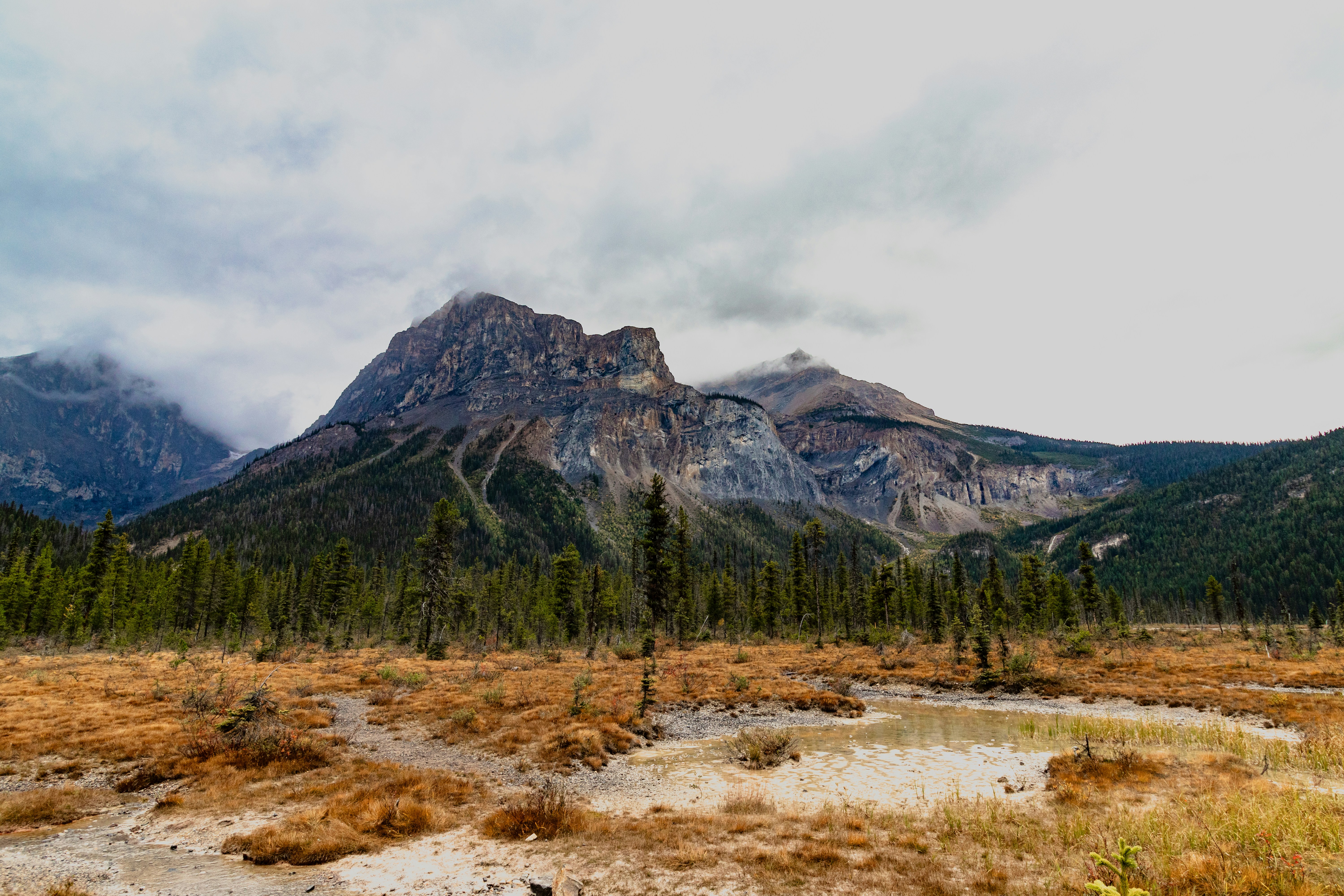 Mountain range shrouded in mist with evergreen forest and a small pond in the foreground.