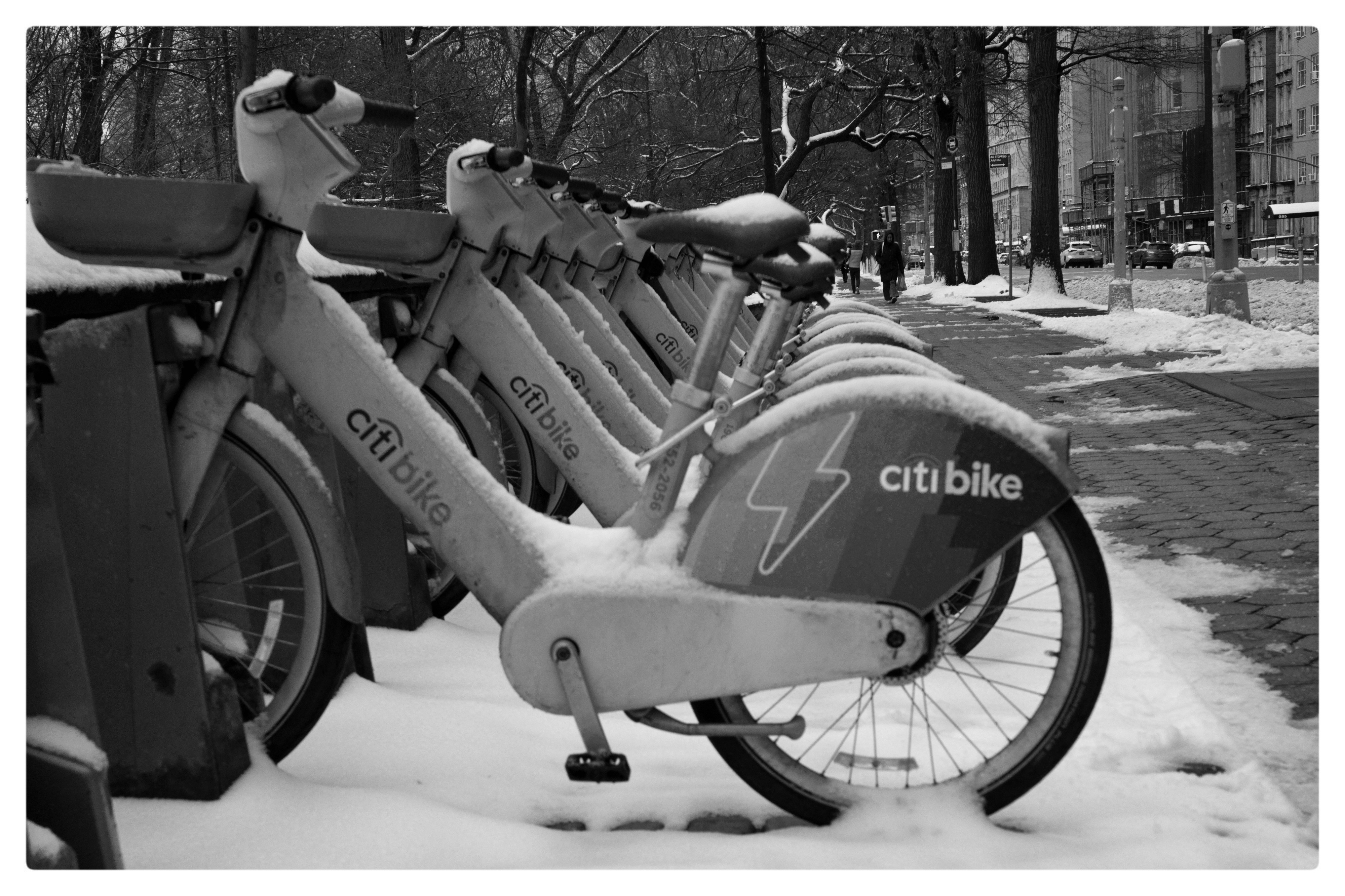 Frozen Pedals: A Winter's Pause
