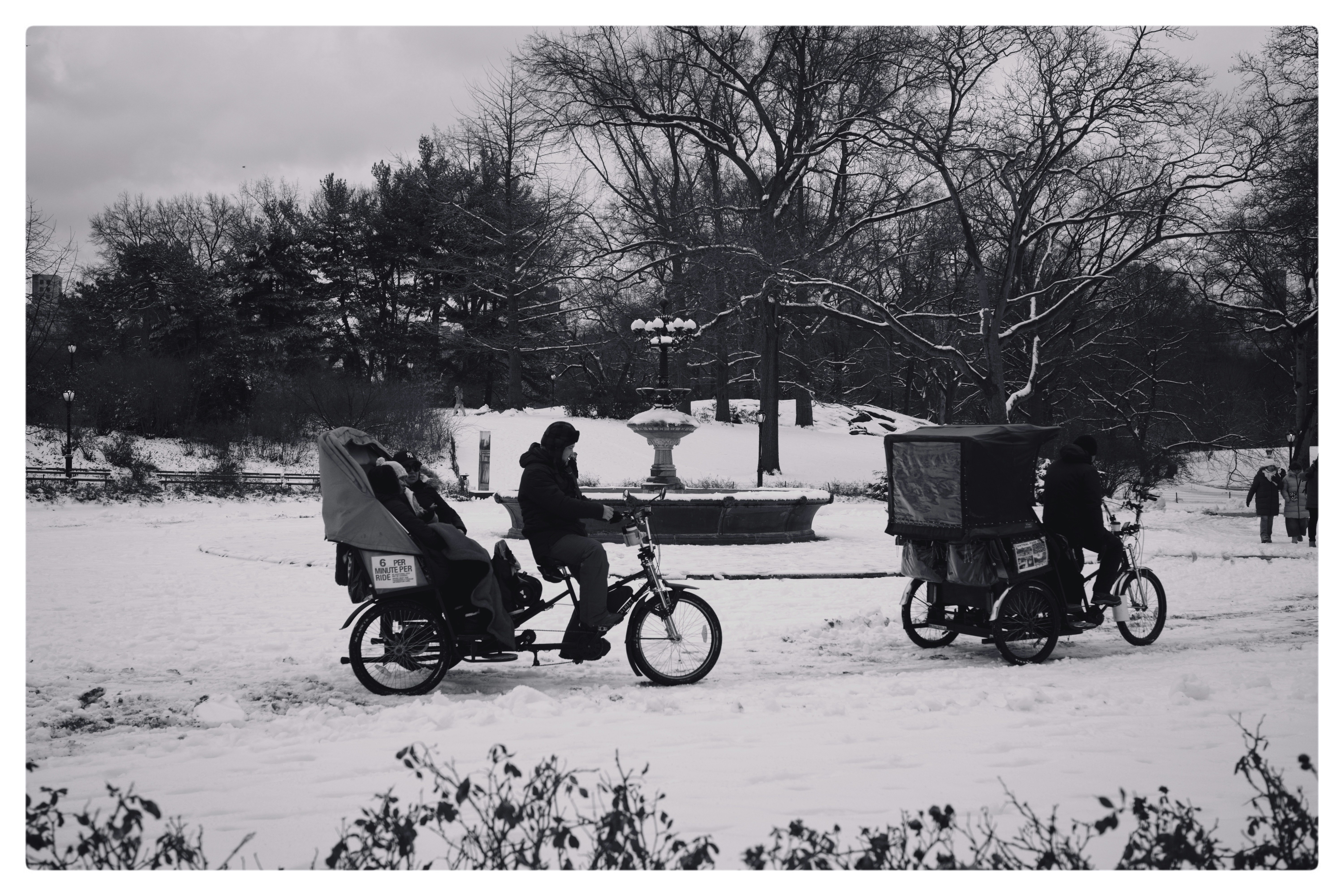 Snow-Covered Delhi: Pedicab Carriers in Quiet Park