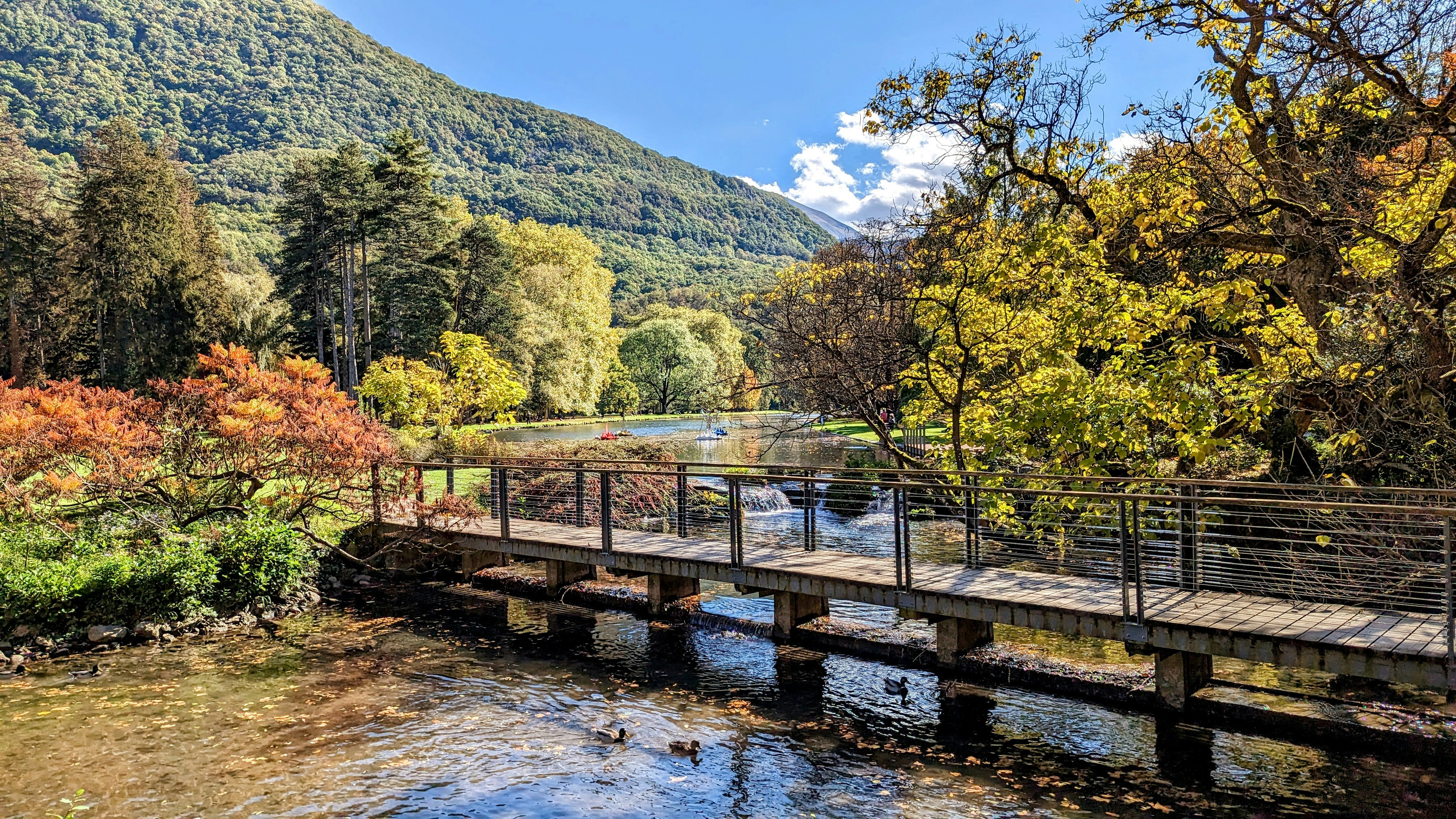 A wooden bridge over a river surrounded by trees photo – Free Autumn ...