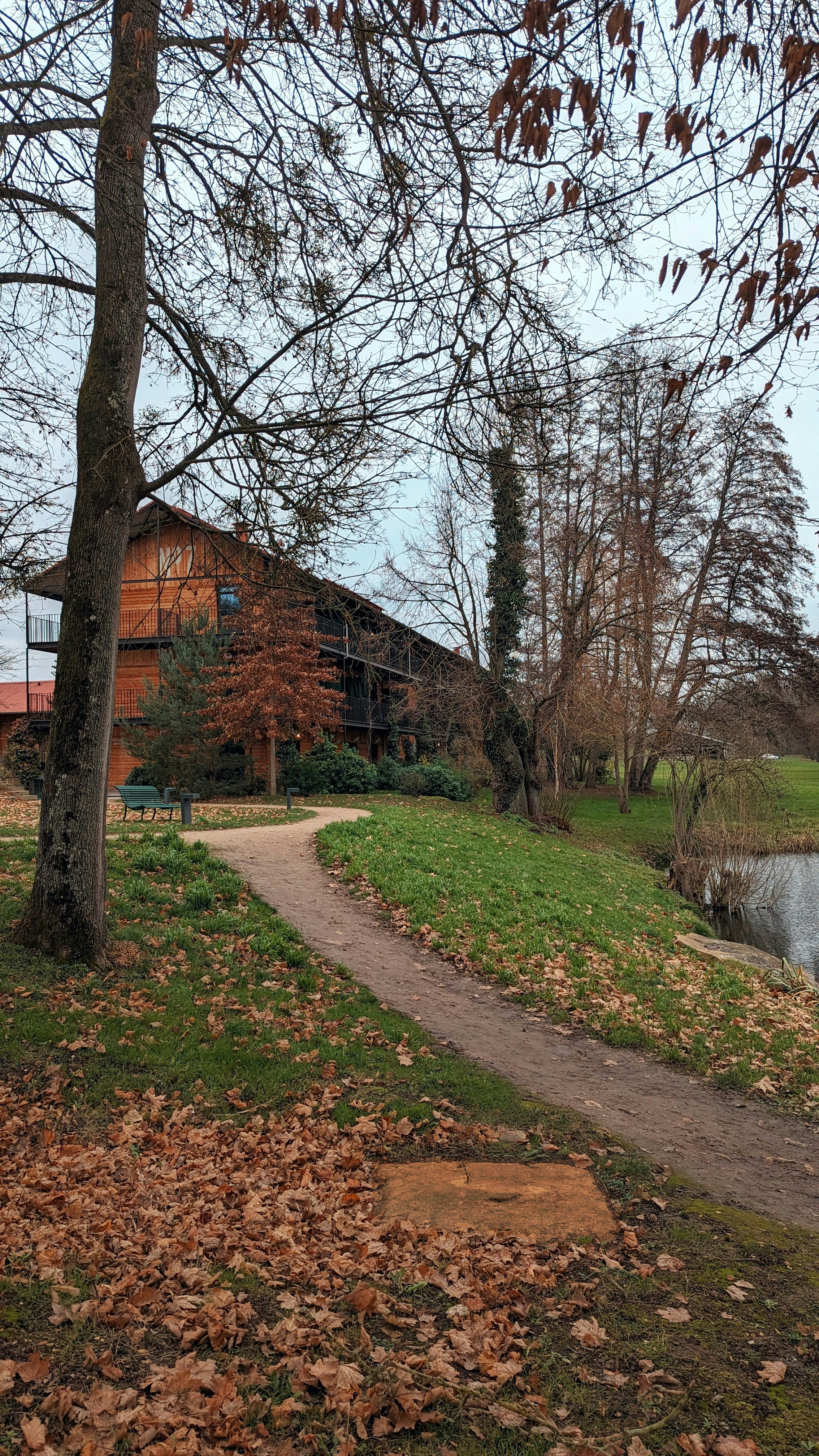Leaf-Cloaked Path Toward a Riverside Lodge in Late Autumn