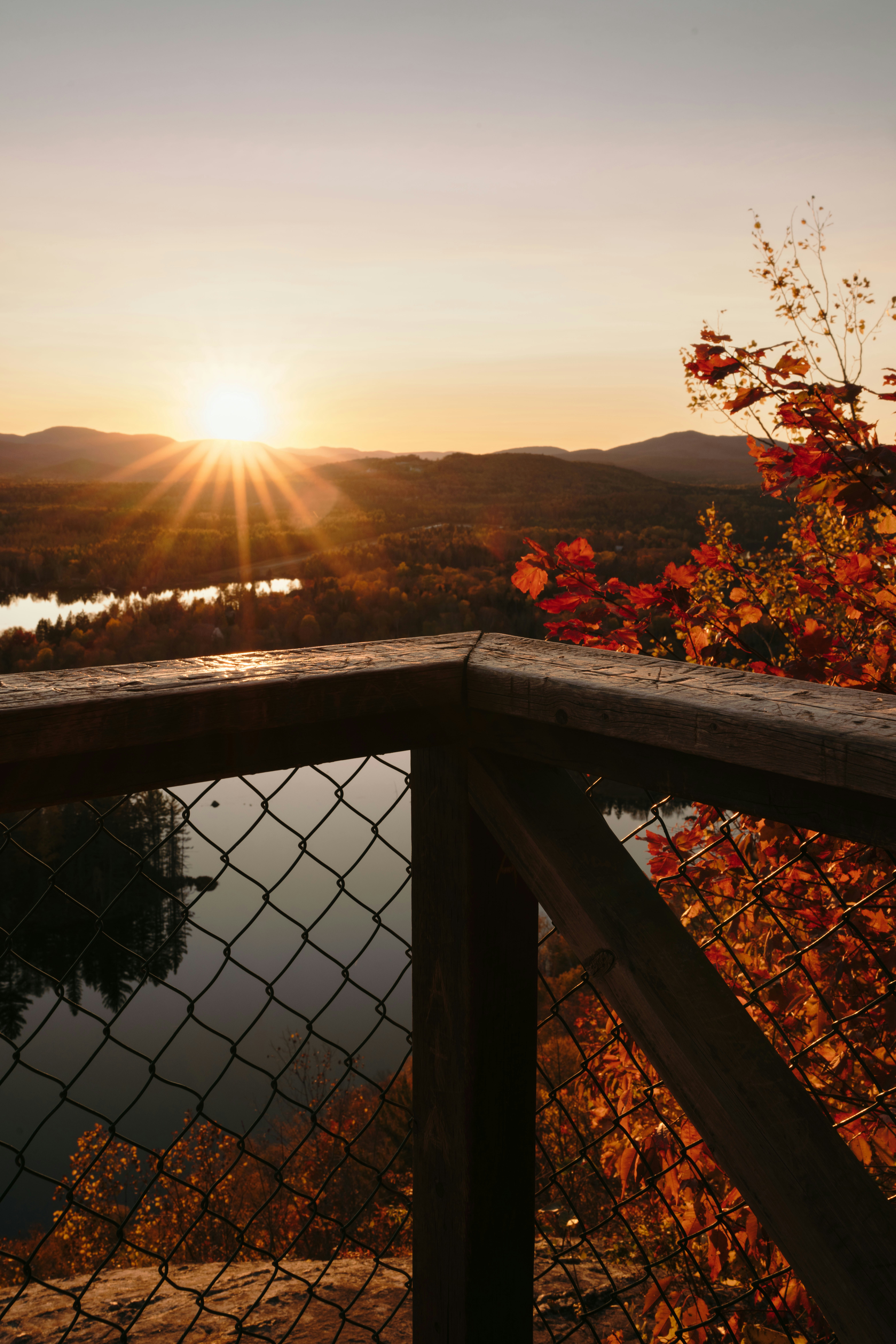Golden Horizon Over Autumnal Quebec