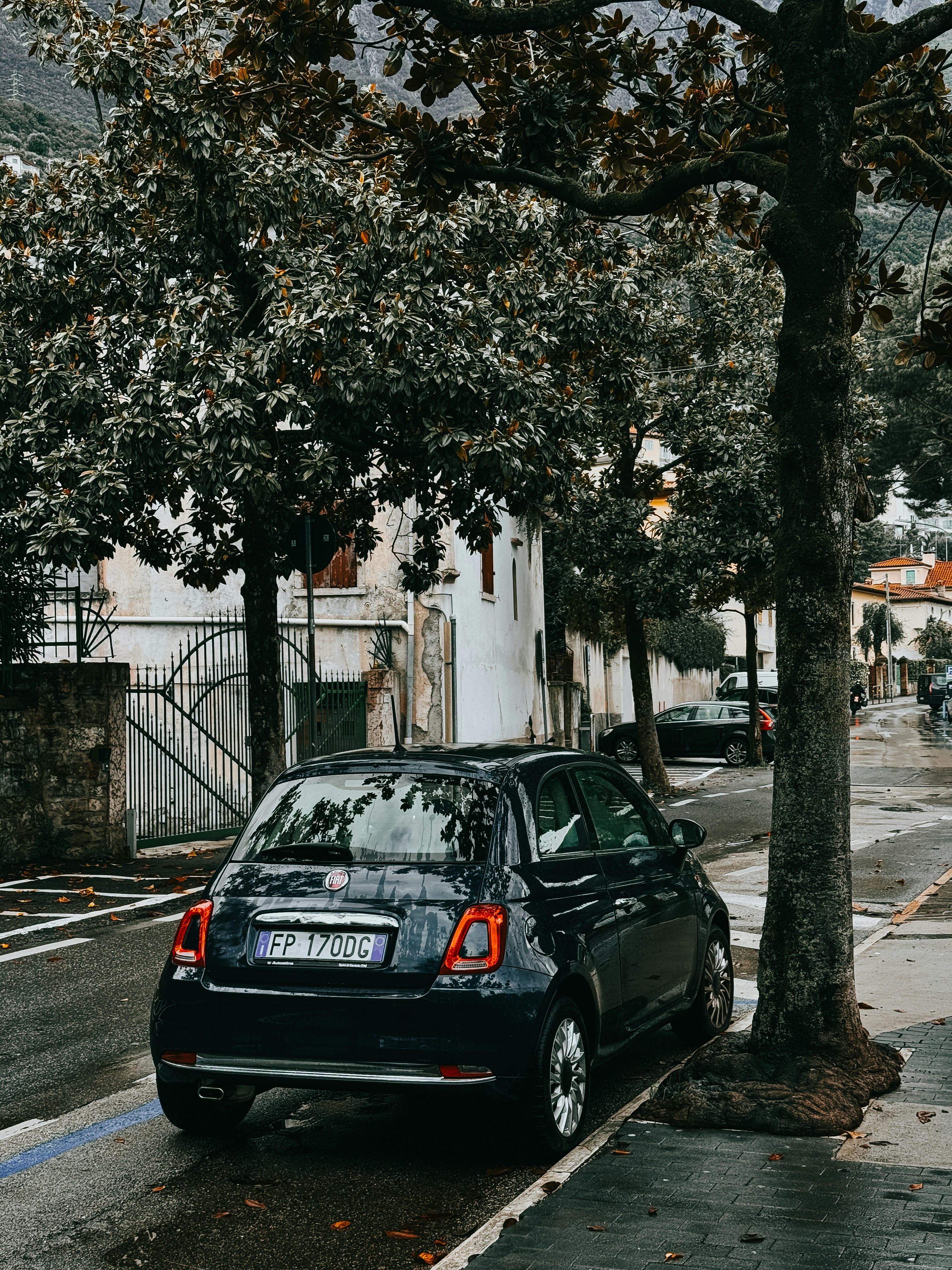 Rain-Washed Quiet: Blue hatchback along a tree-lined street at dusk