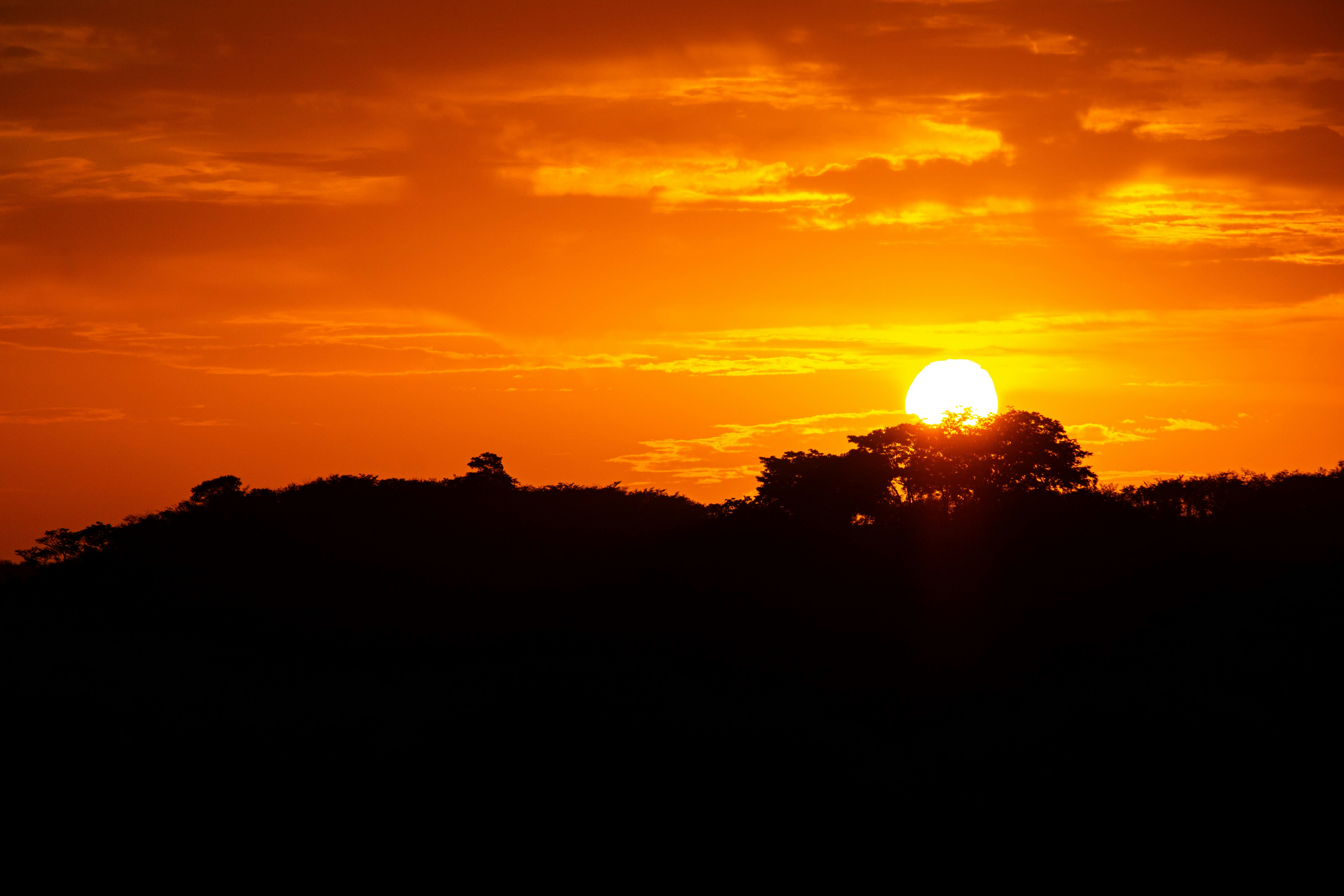 The sun is setting over a hill with trees photo – Free Sky Image on ...