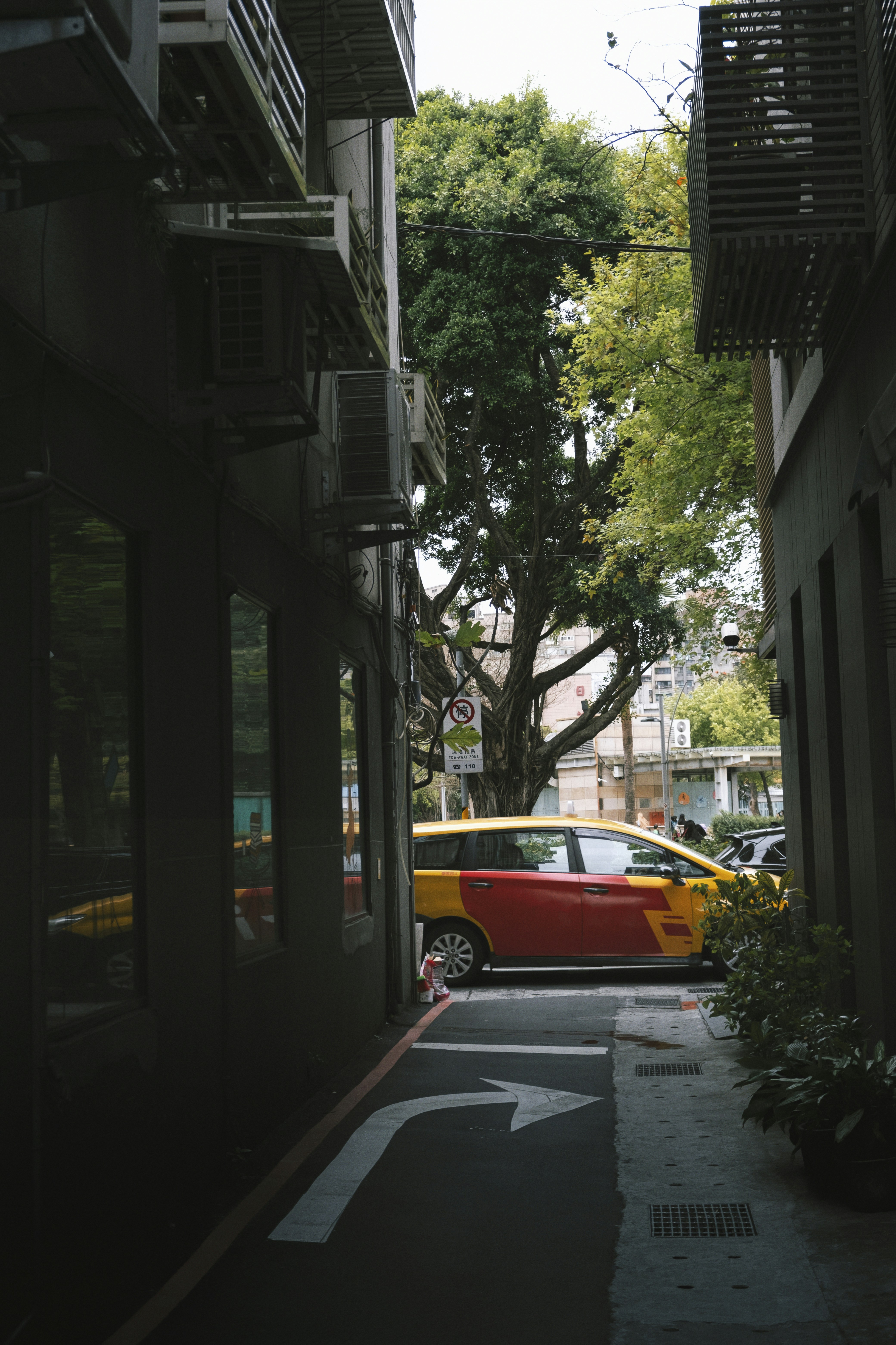 Photo by wei with Fujifilm X-S10