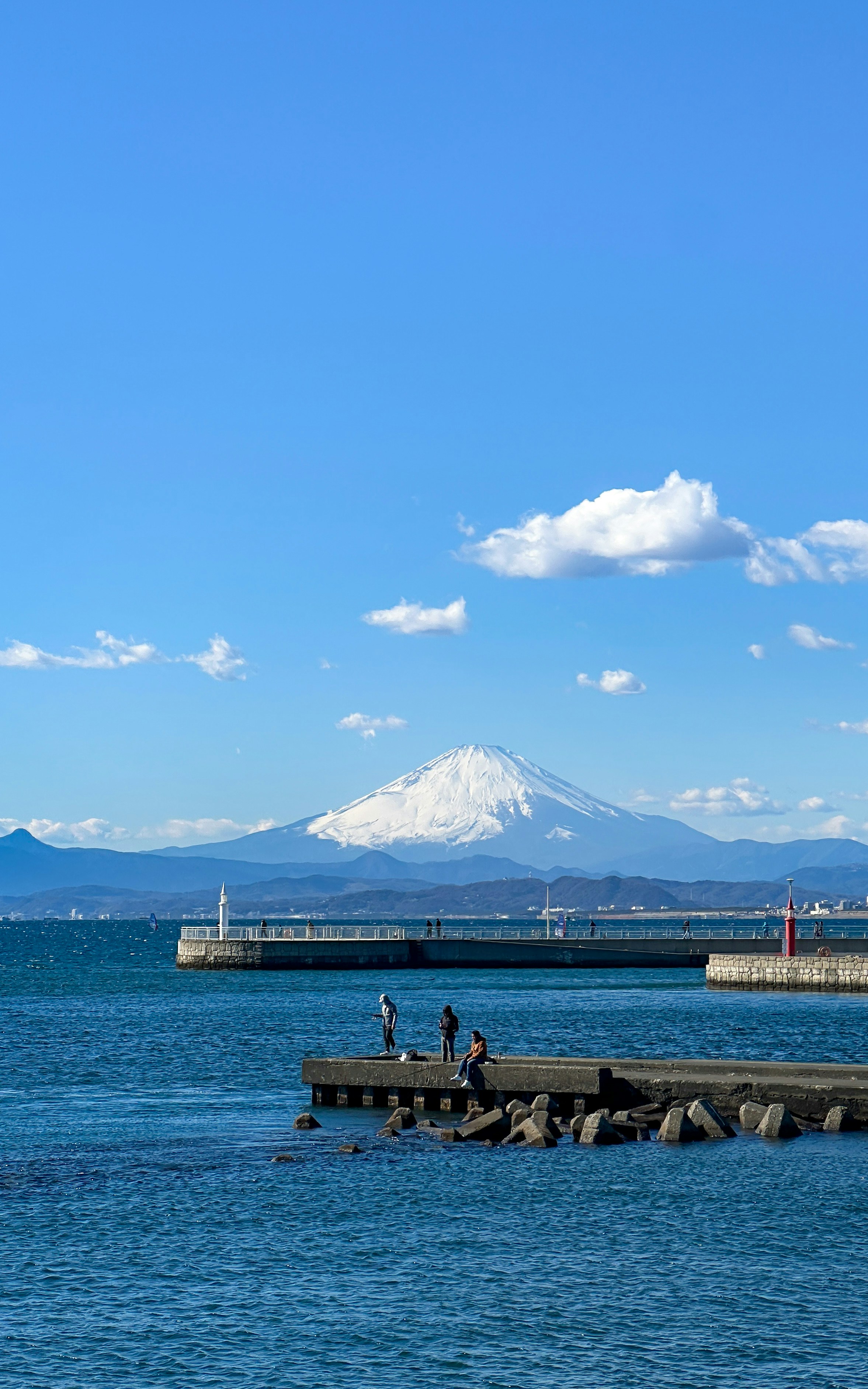 Patricia Haller-Anguela (@halleranguela) | Unsplash 사진 커뮤니티