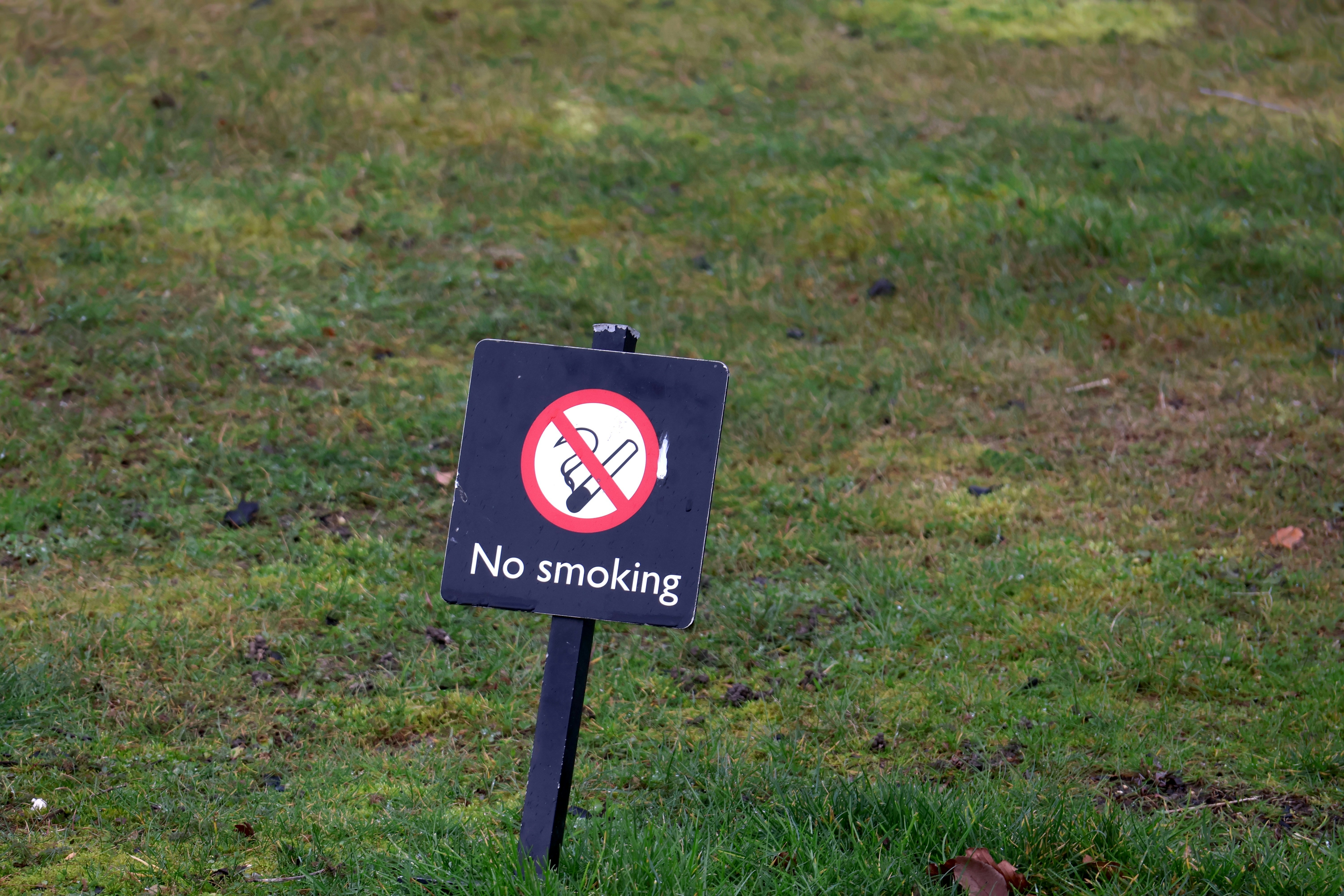 No smoking sign outside | A no smoking sign in a grassy field