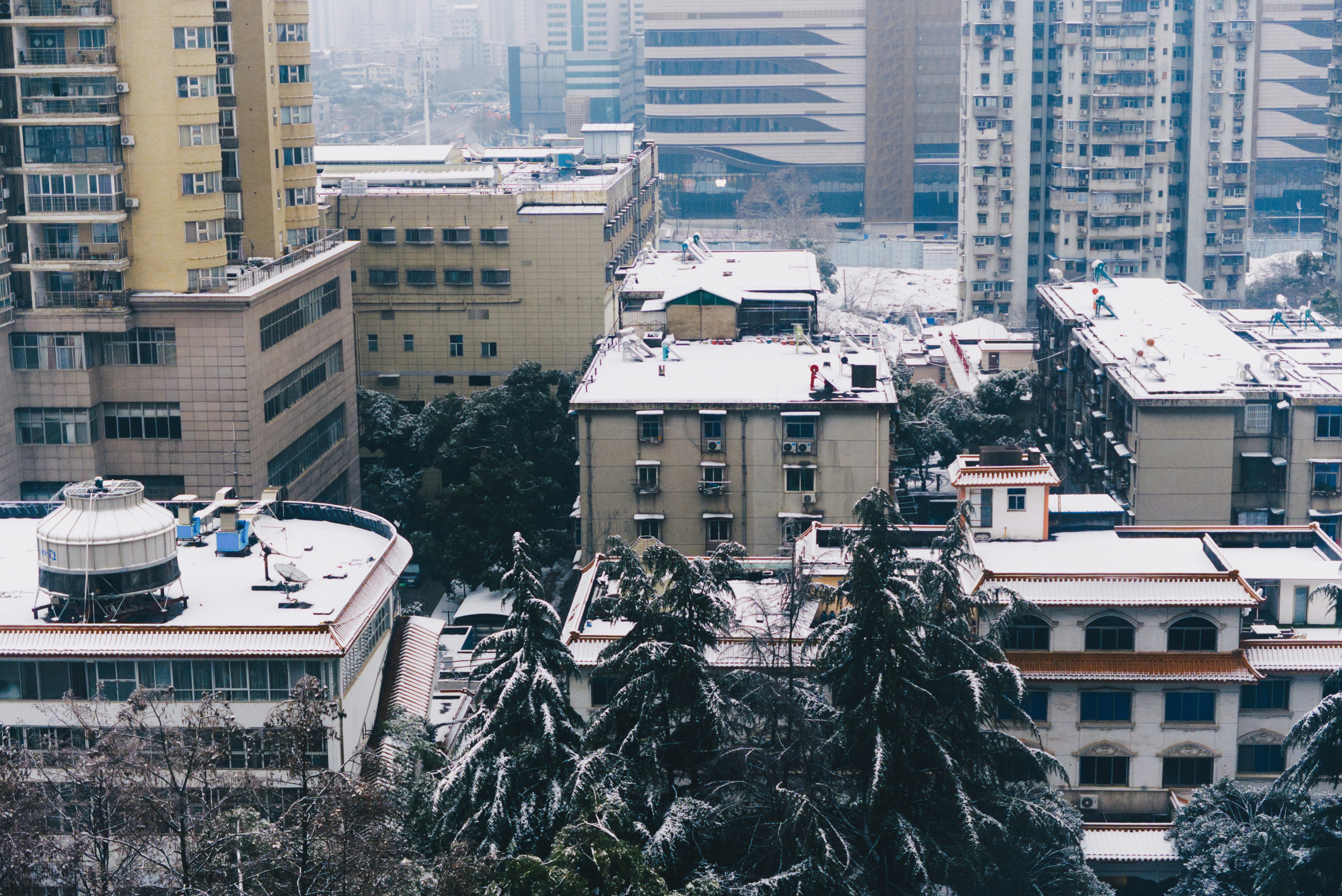 Snow-Laced Skyline: A Quiet Winter Cityscape