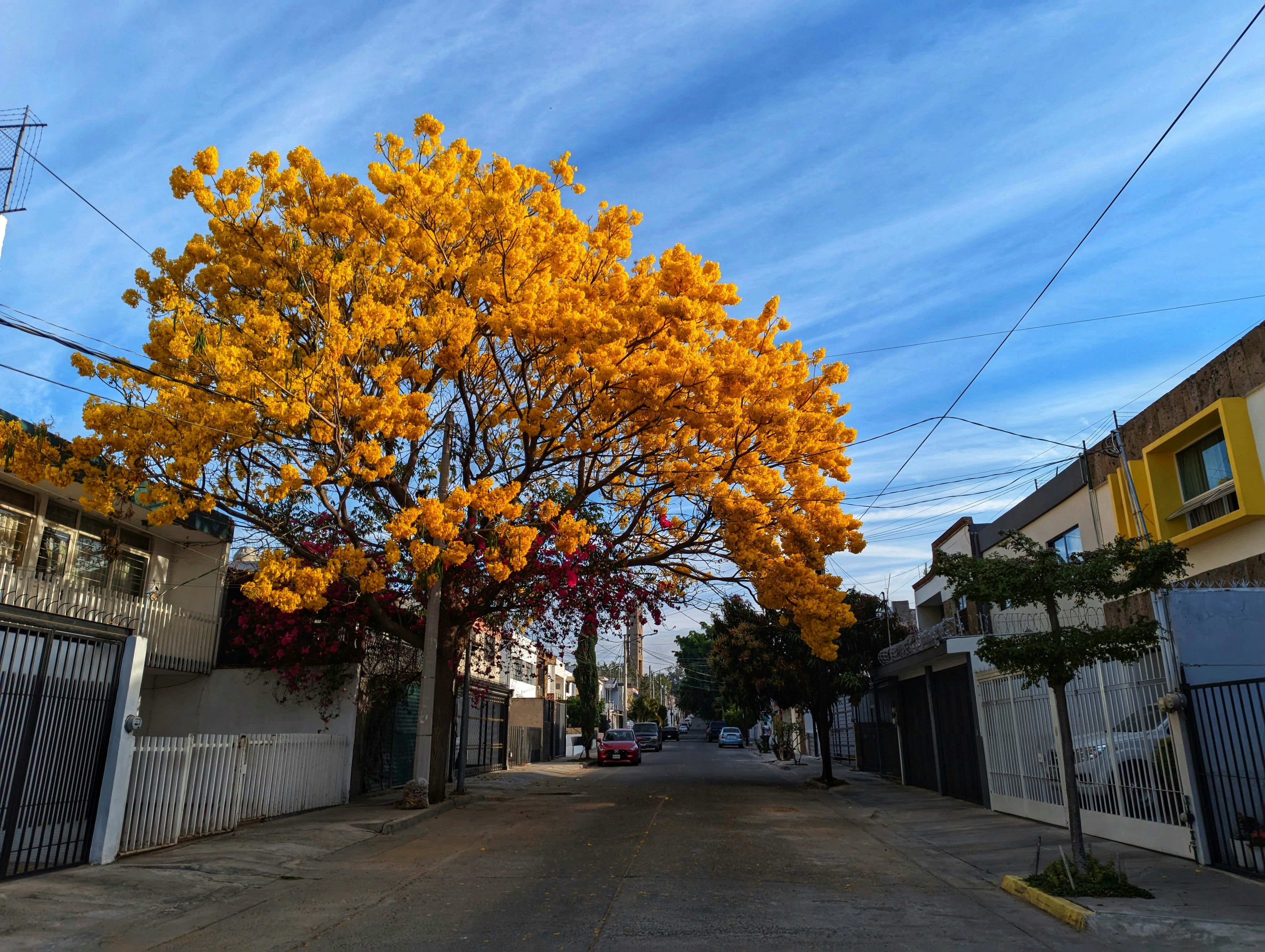 Sample photo from Nothing Phone 2a