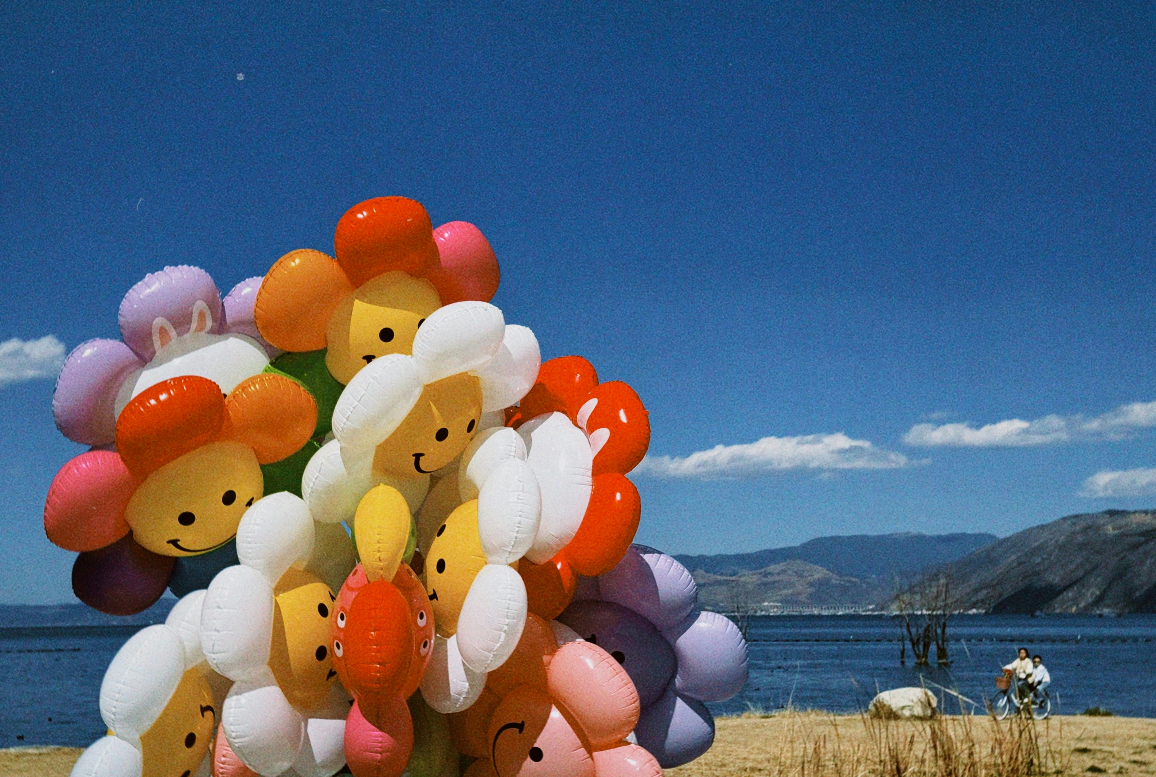 Smiley Balloon Bouquet Framing a Lakeside Beach Scene