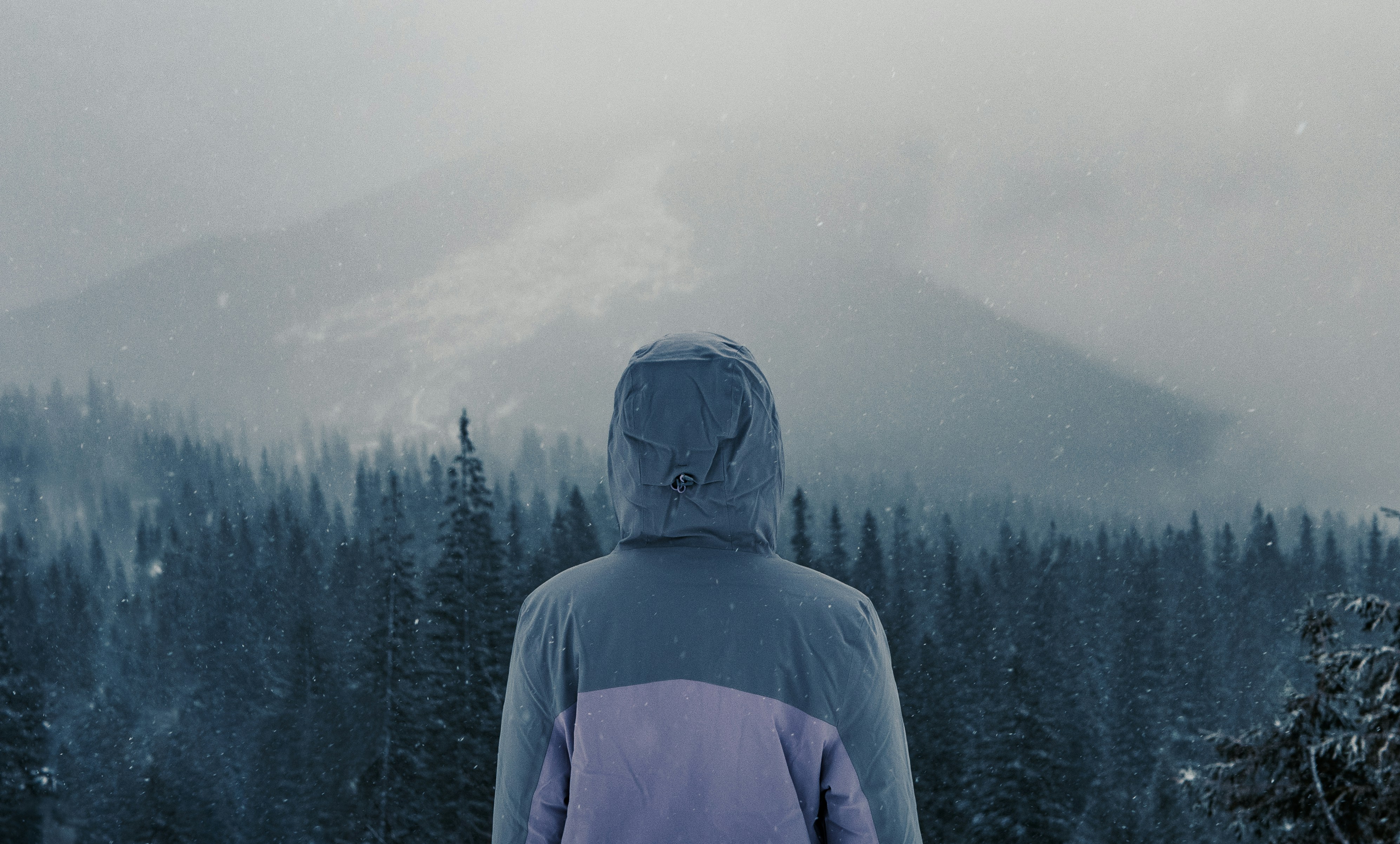 Solitude in the Snowy Wilderness