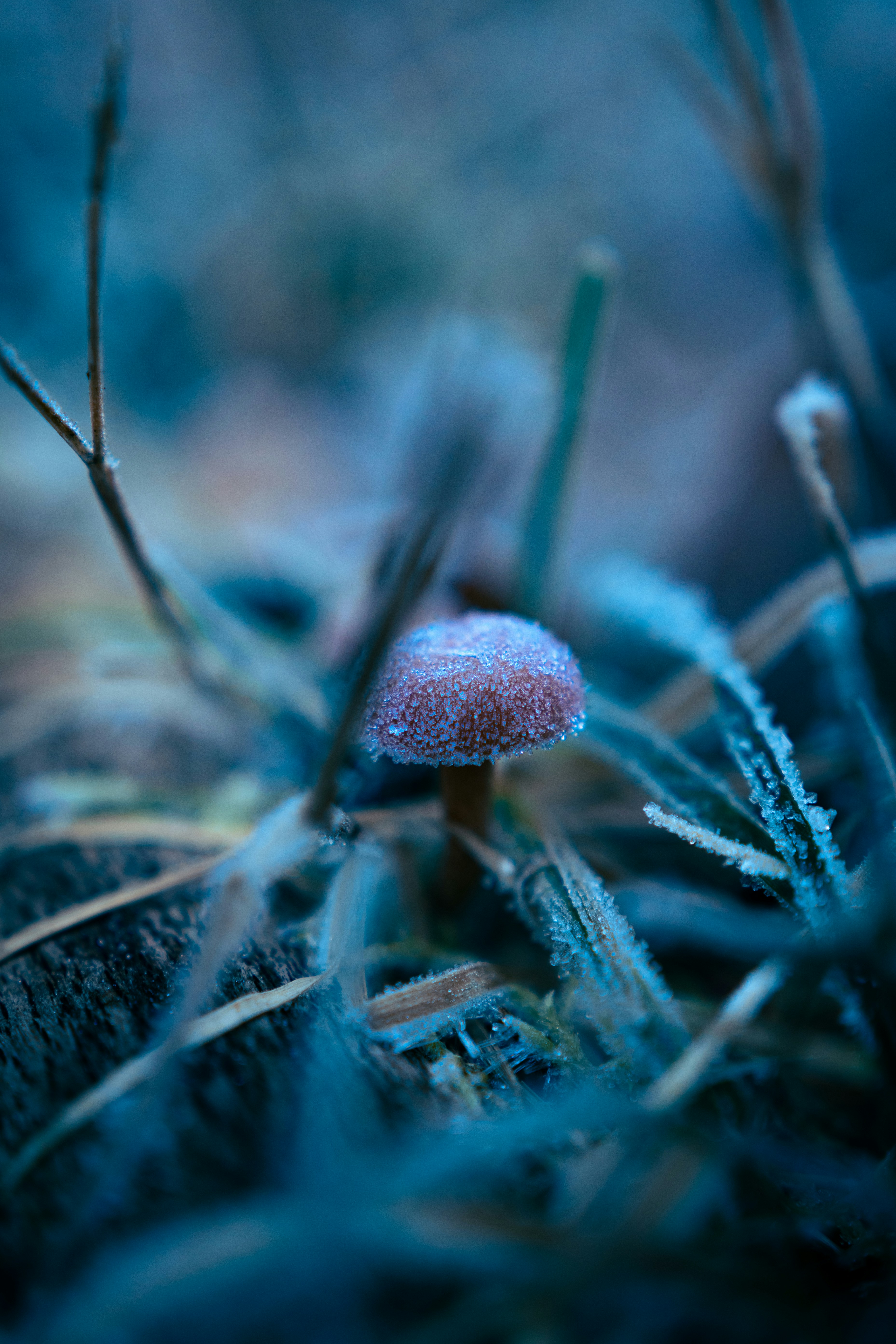 Photo by Jonah Löffler with Nikon D5500