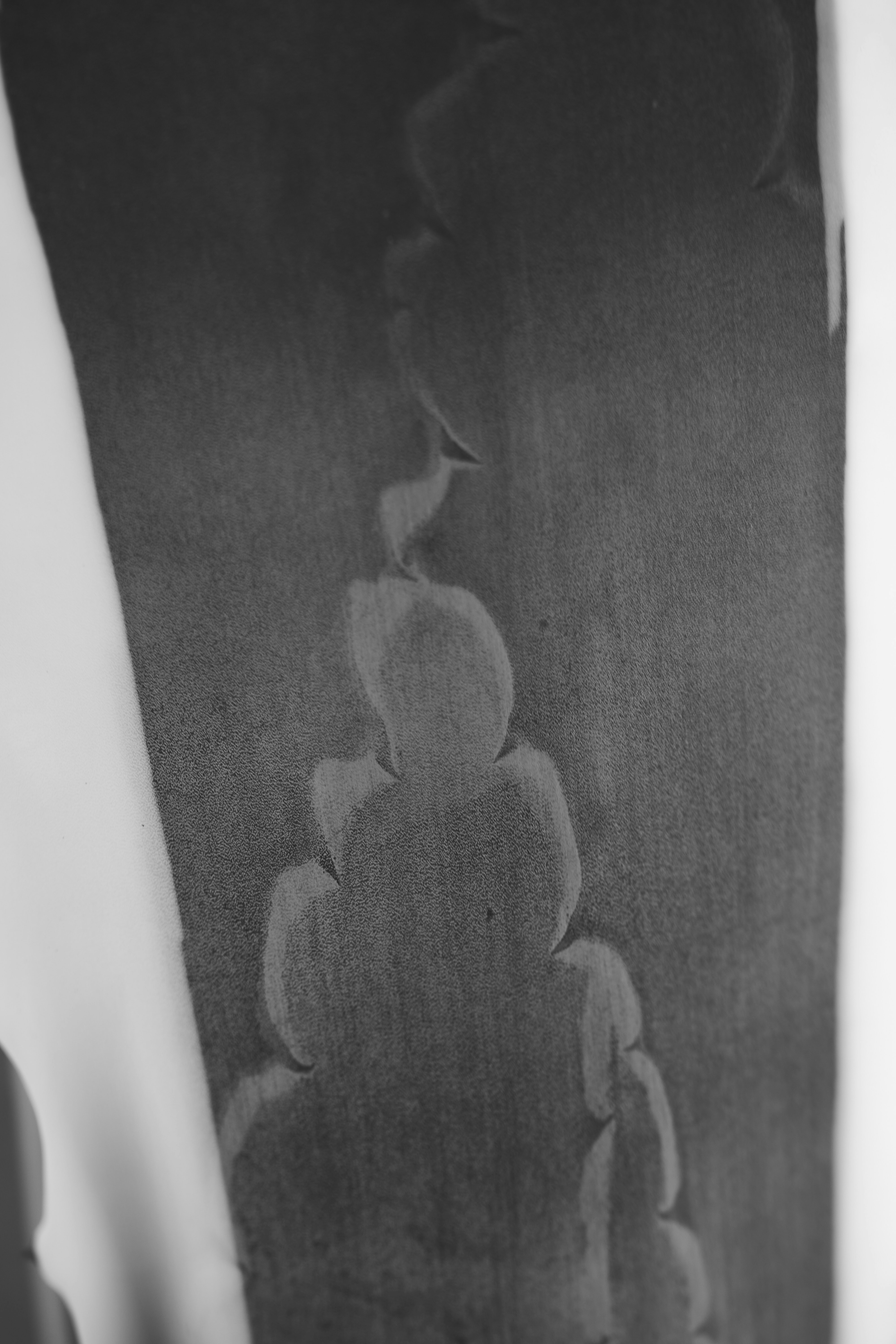 Echoes of Minimalism: A Study in Shadows