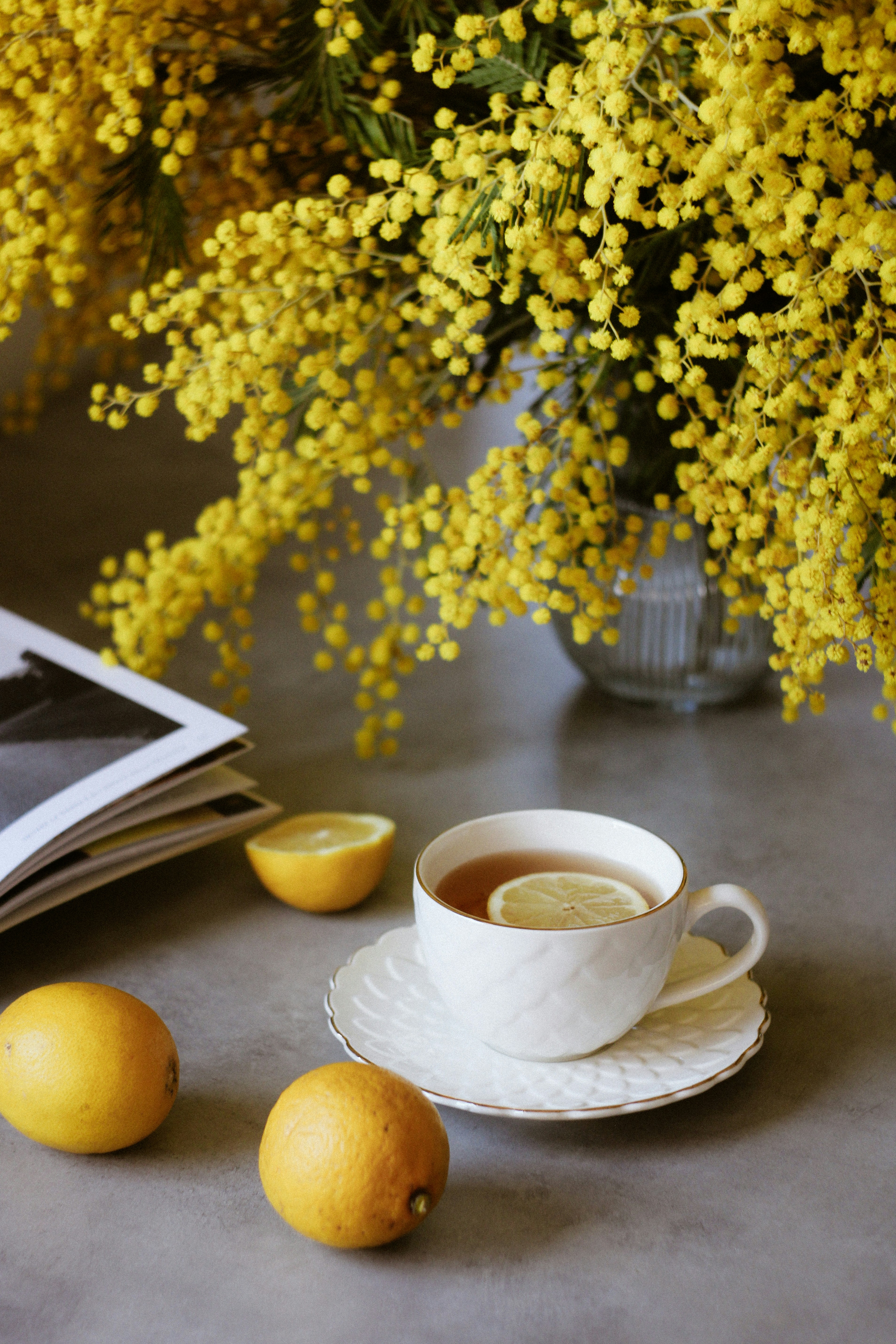 Tea and Sunlit Mimosa: A Quiet Countertop Still Life
