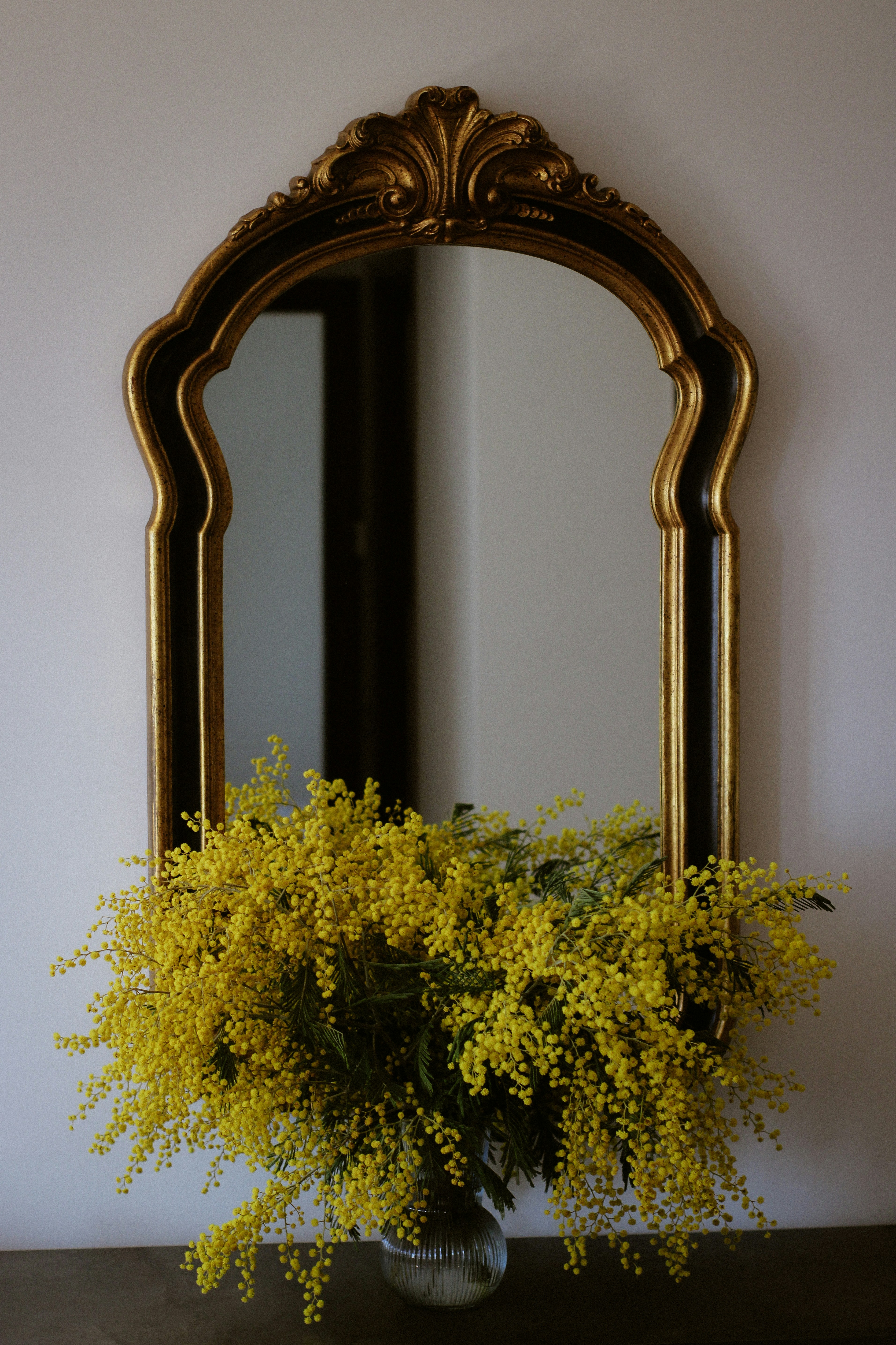 Mimosa Cascade Beneath a Gold-Frame Mirror