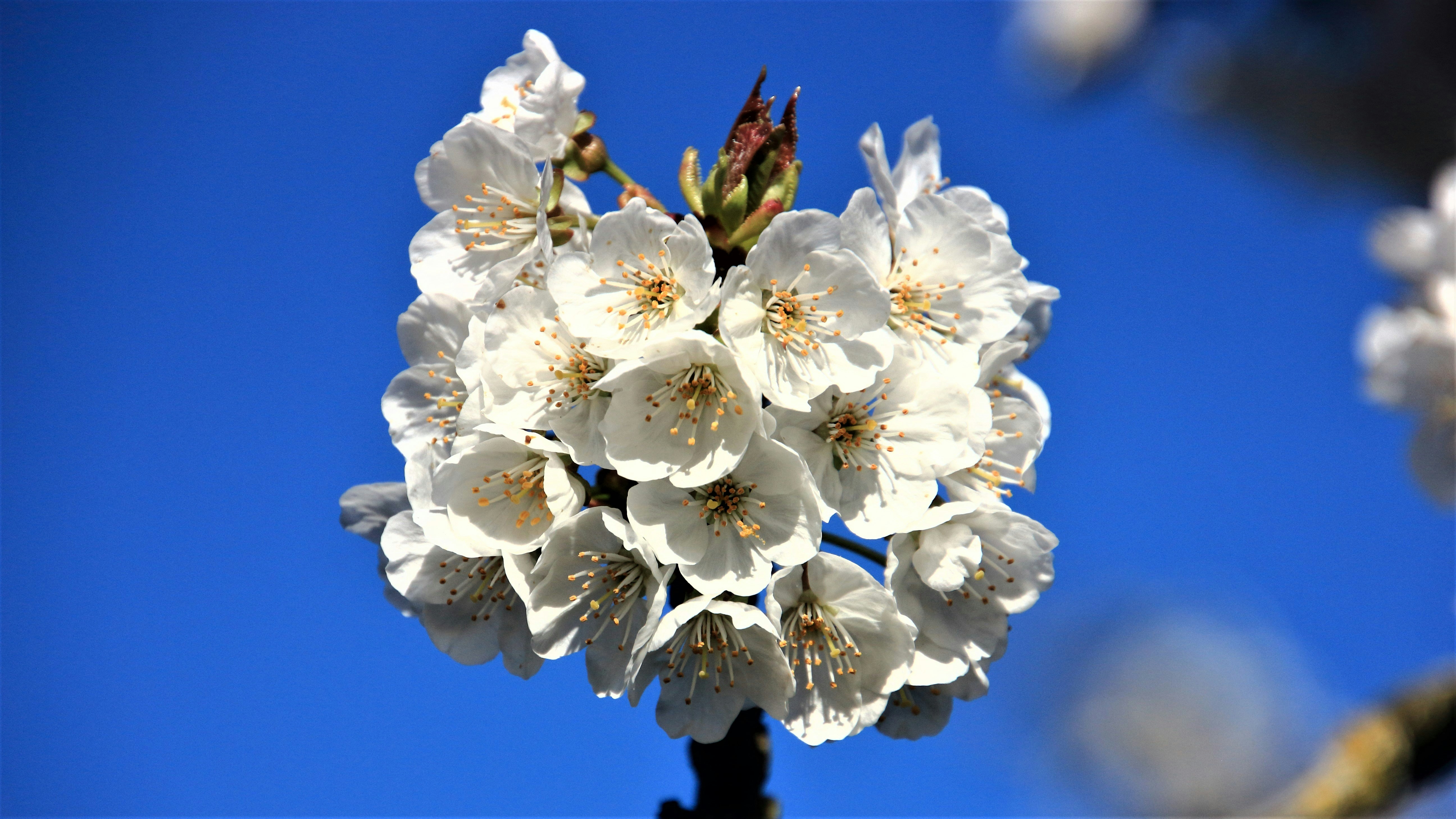 Photo by Lex Noordhoff with Canon EOS 600D