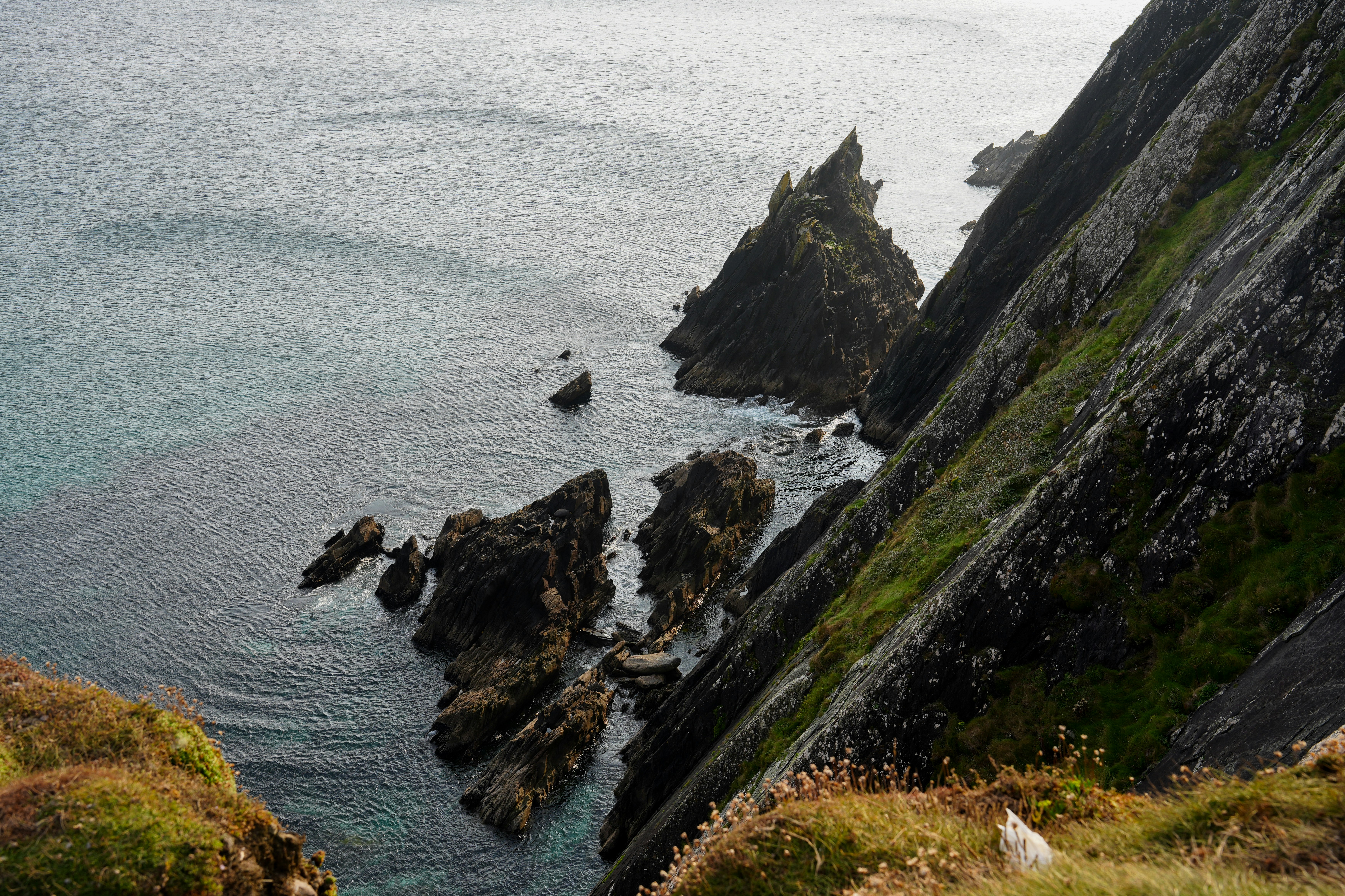 Sharp cliffs descend into the Atlantic, framed by autumn foliage and distant waves.